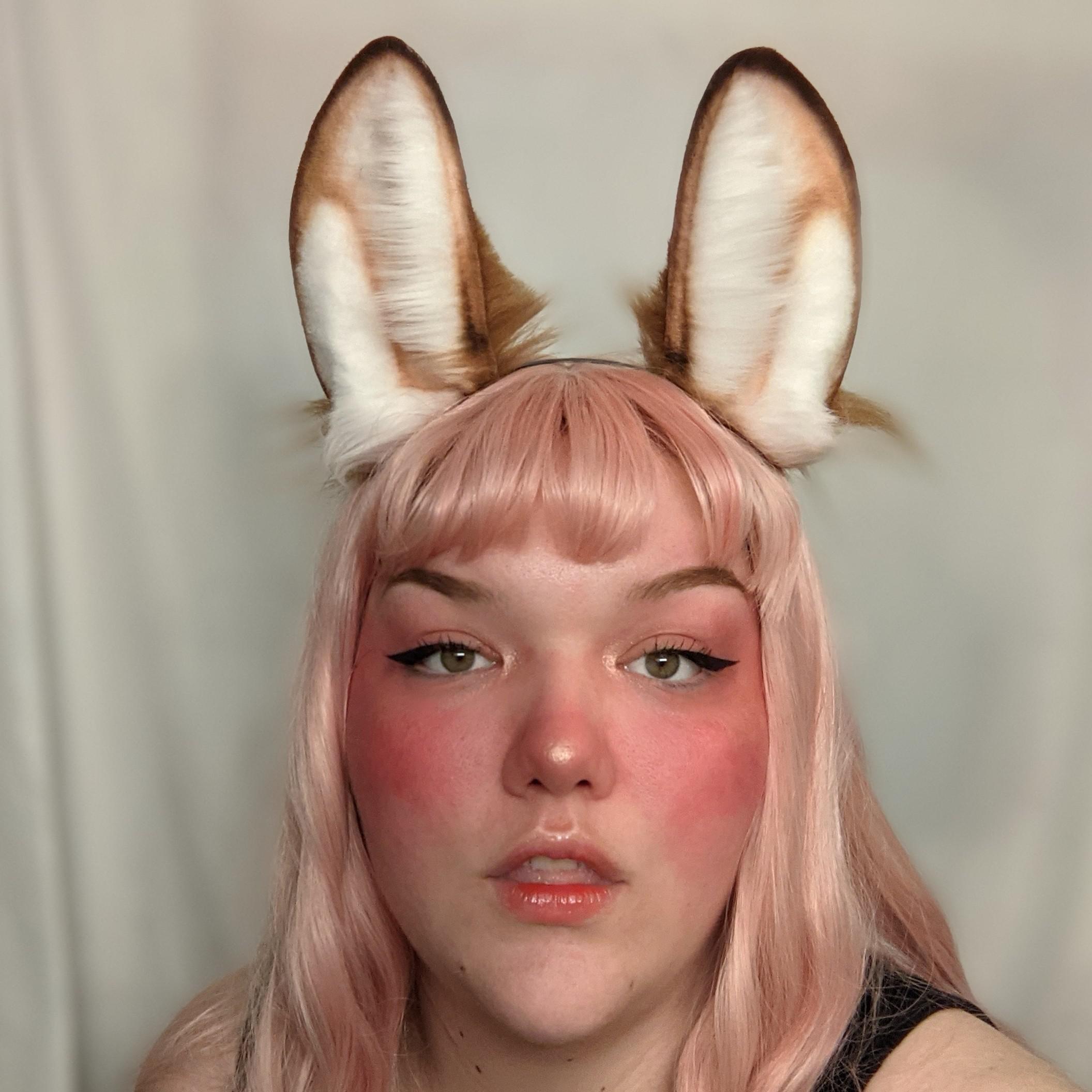 Bunnygirl At Your Service 🐰 Scrolller