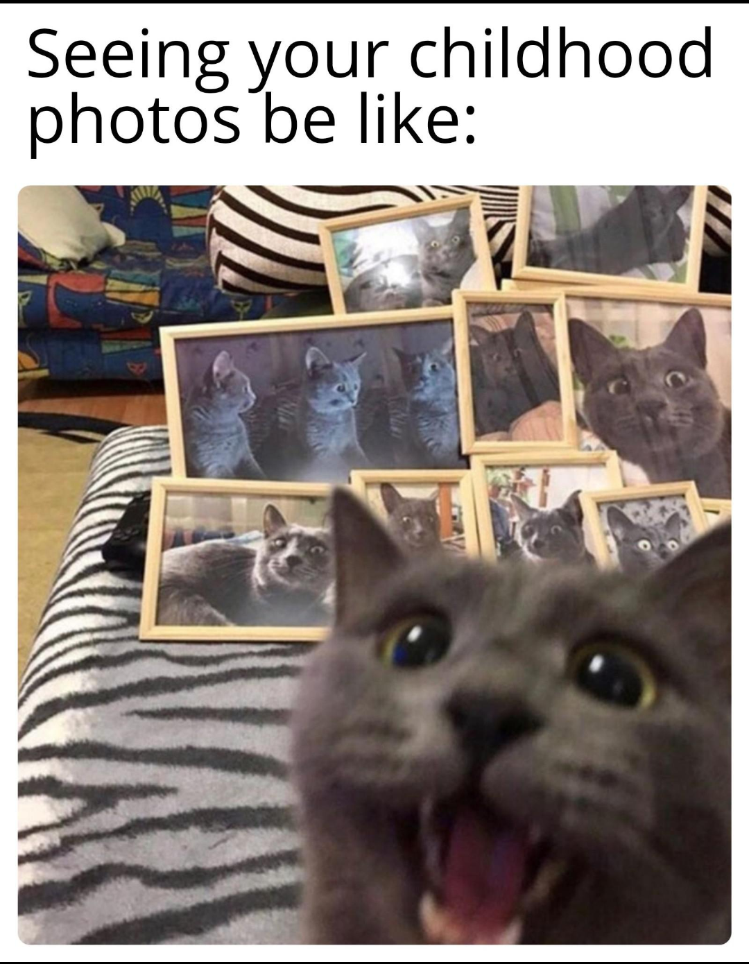 Burn them all!! | Scrolller