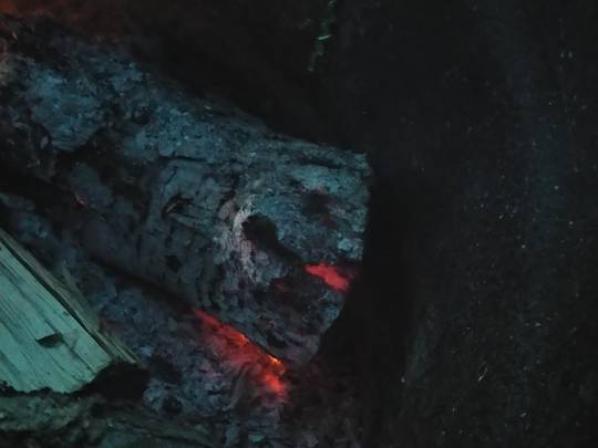 Burning log | Scrolller