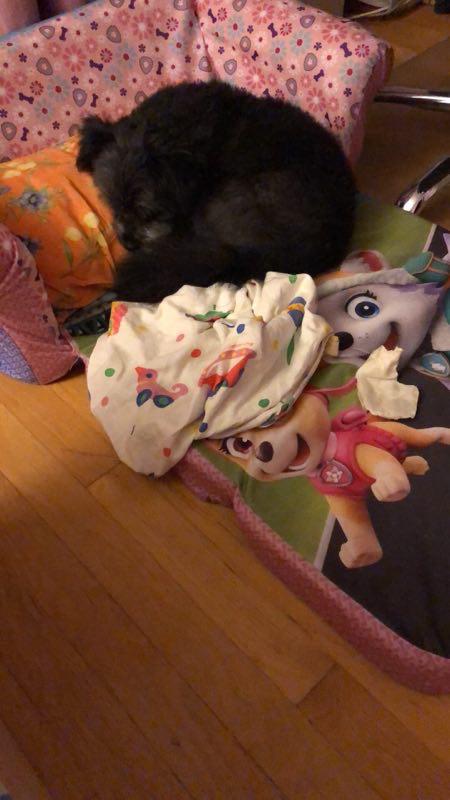 burnt loaf in bed | Scrolller