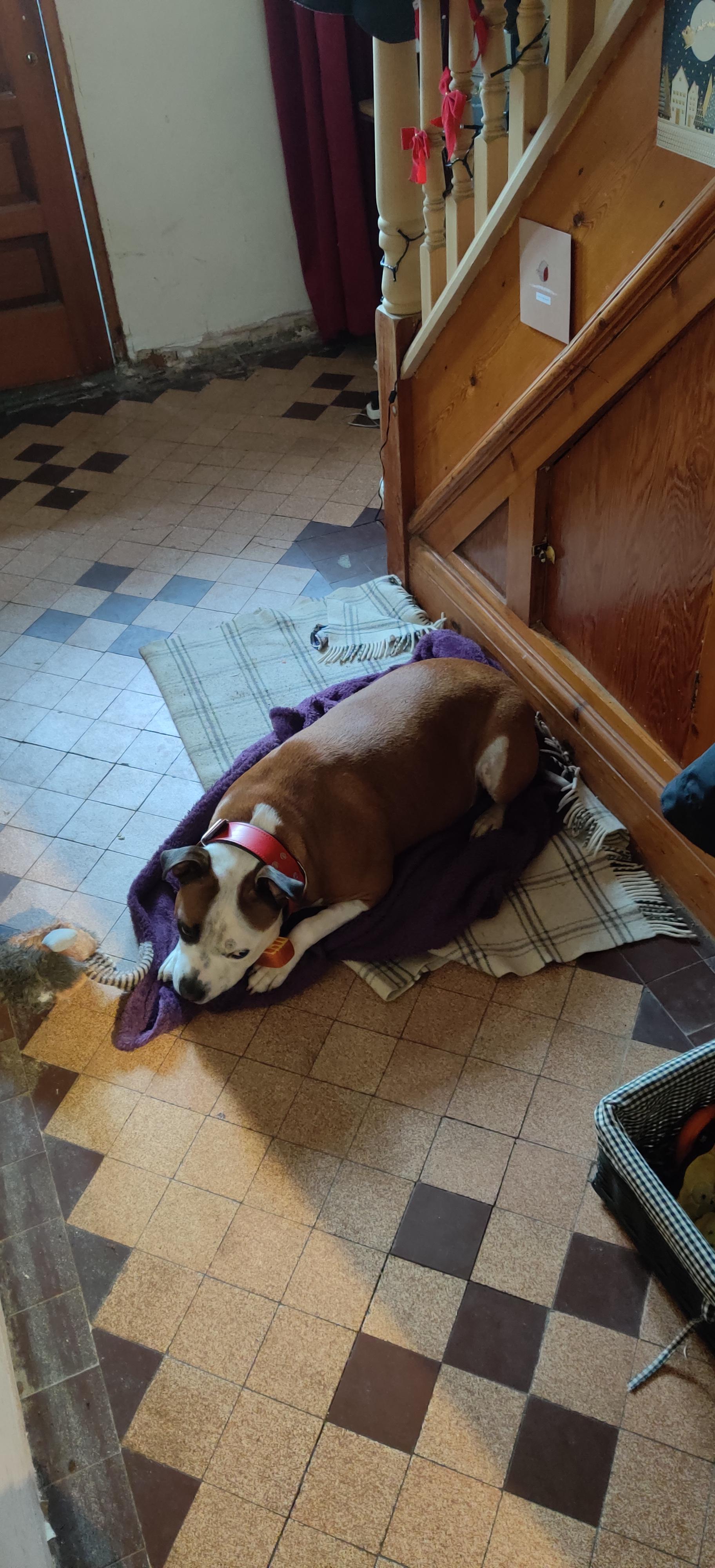 Buster Loaf | Scrolller