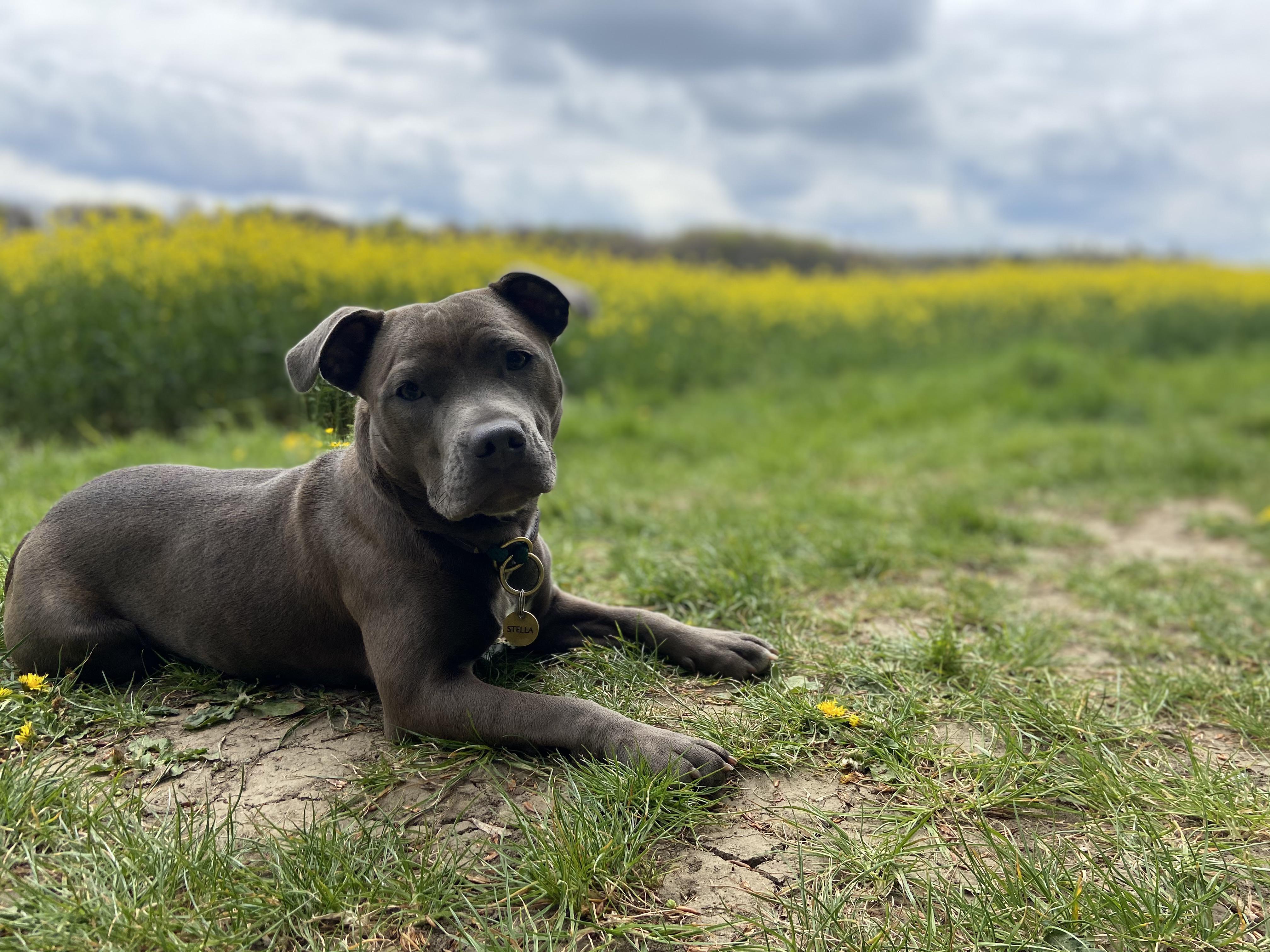 Butter wouldn’t melt | Scrolller