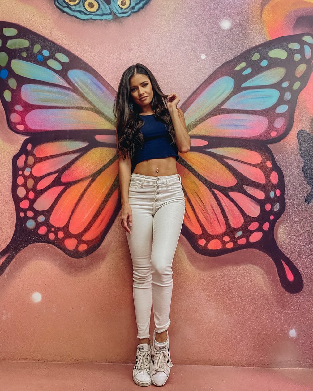 Butterfly | Scrolller