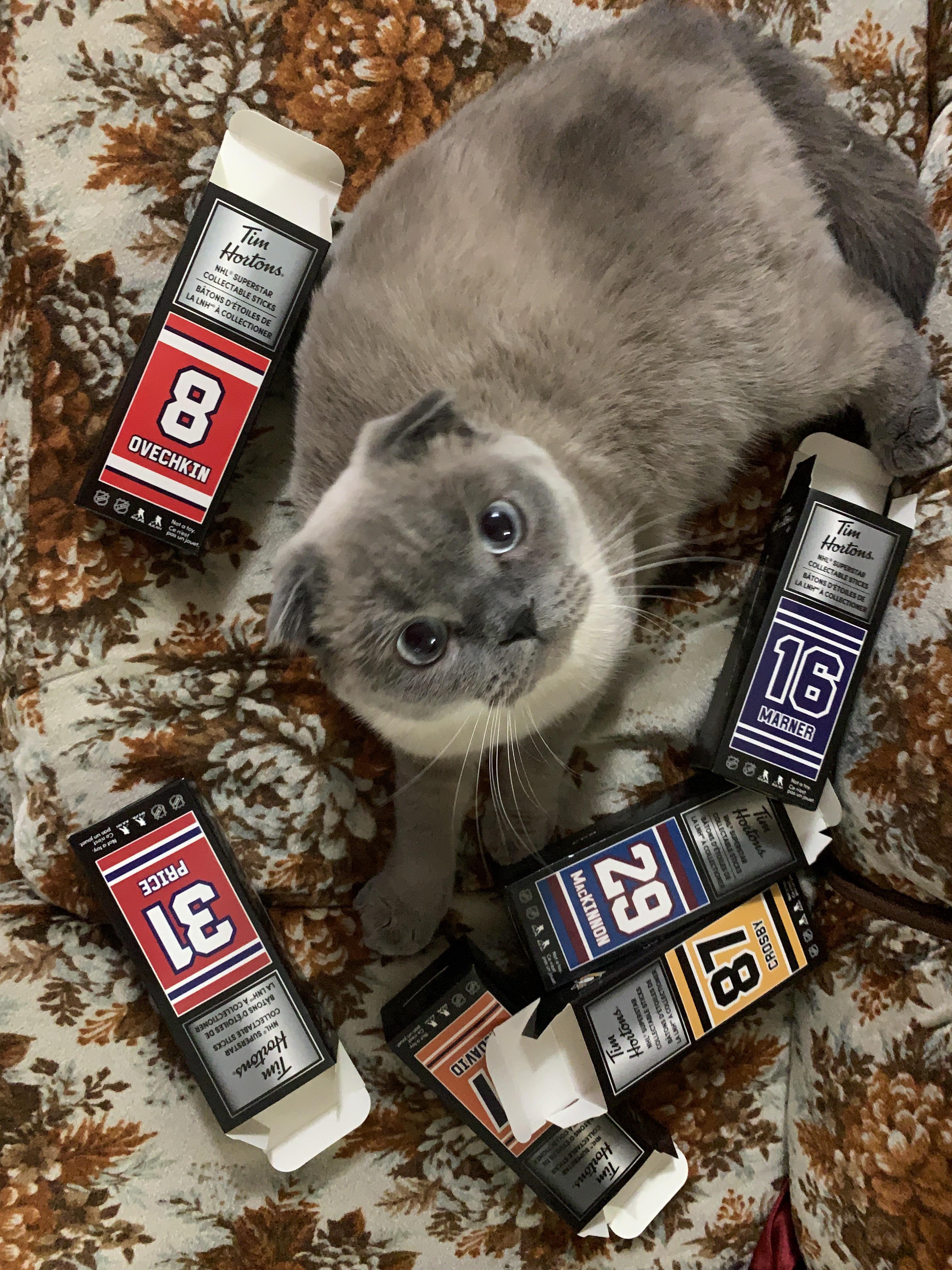 Butters collected them all today | Scrolller