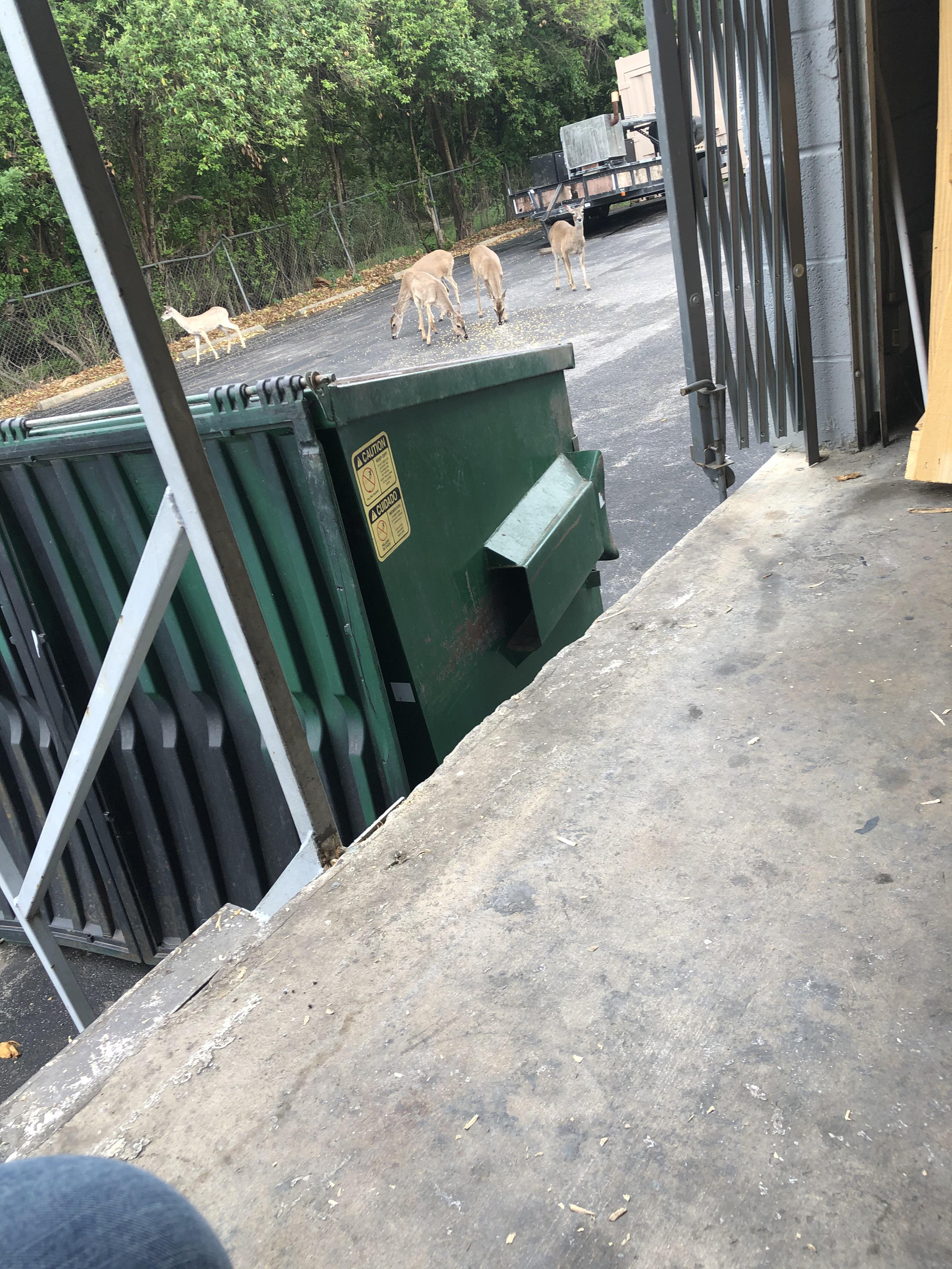 Button heads | Scrolller