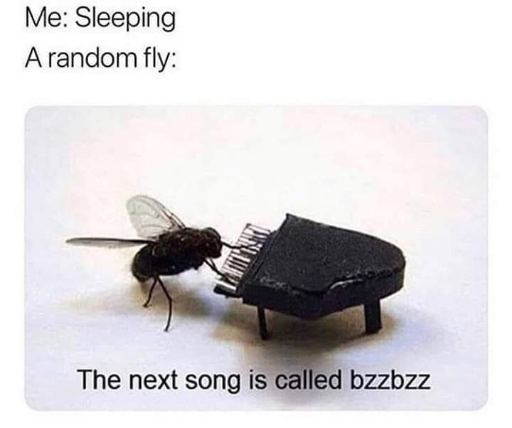 Buzz buzz baby | Scrolller