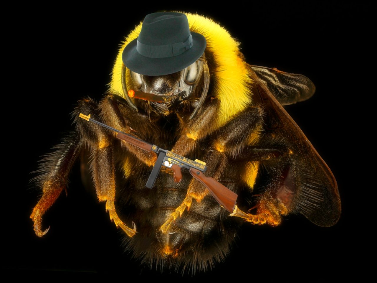 Buzz, see? | Scrolller