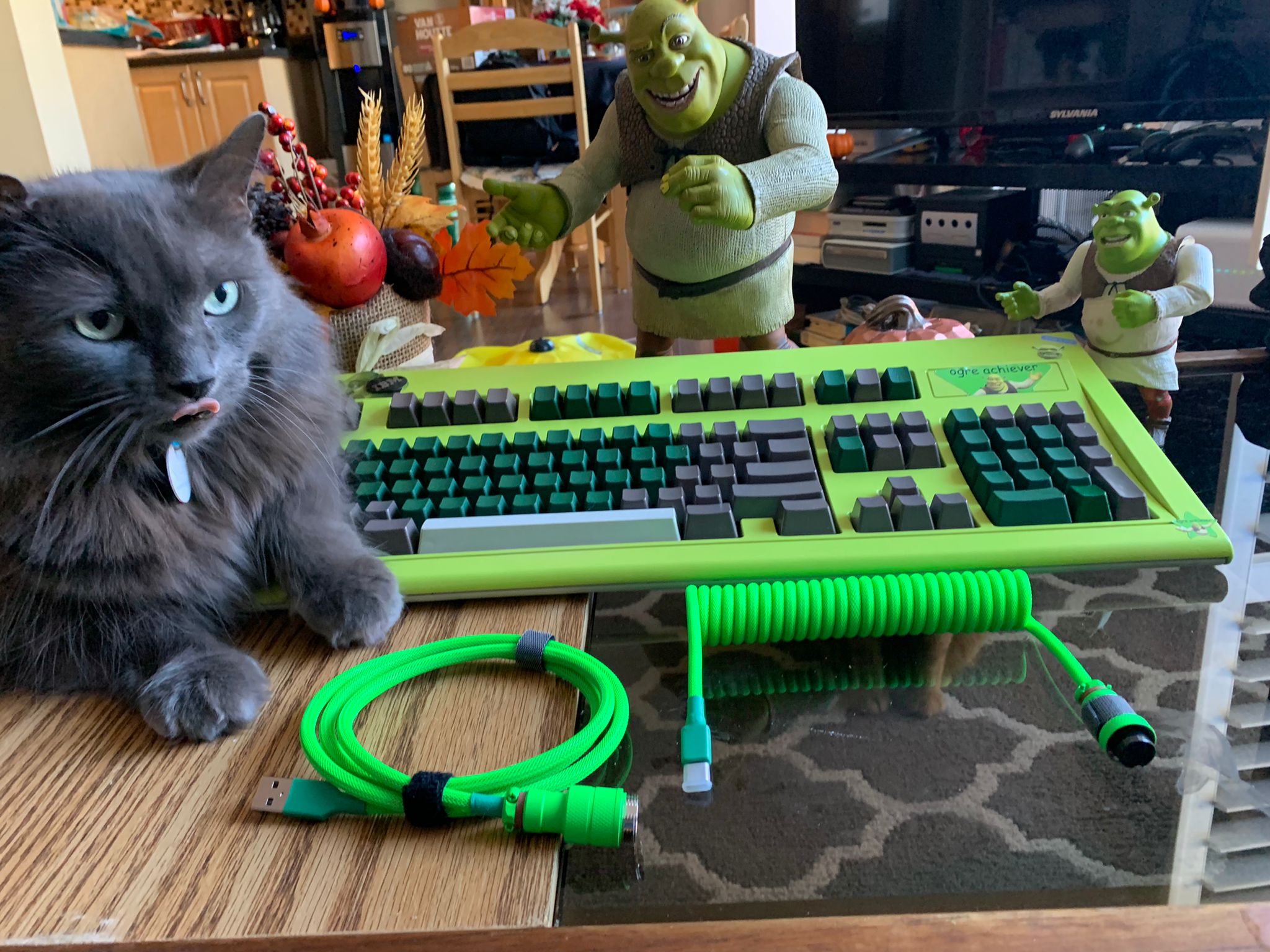 CableMod pimped out my Shrek build with a fancy new cable! | Scrolller