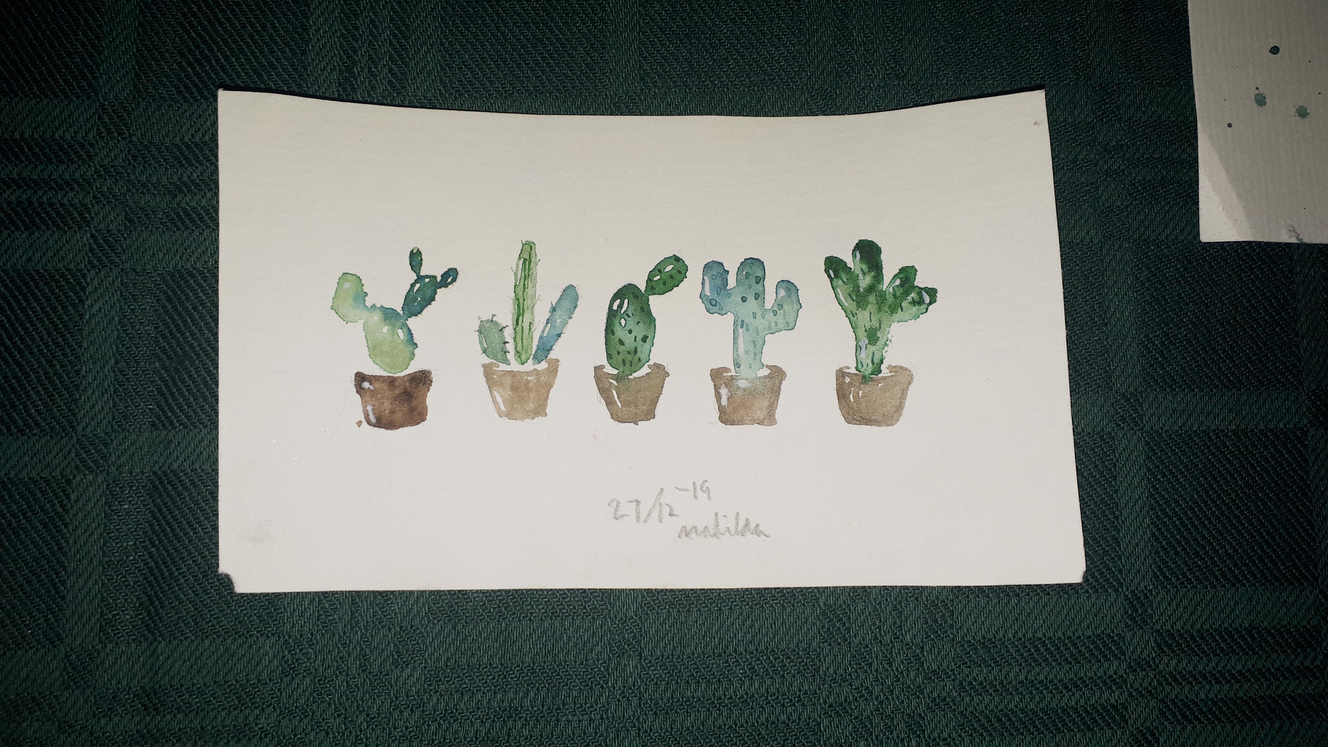 Cacti | Scrolller