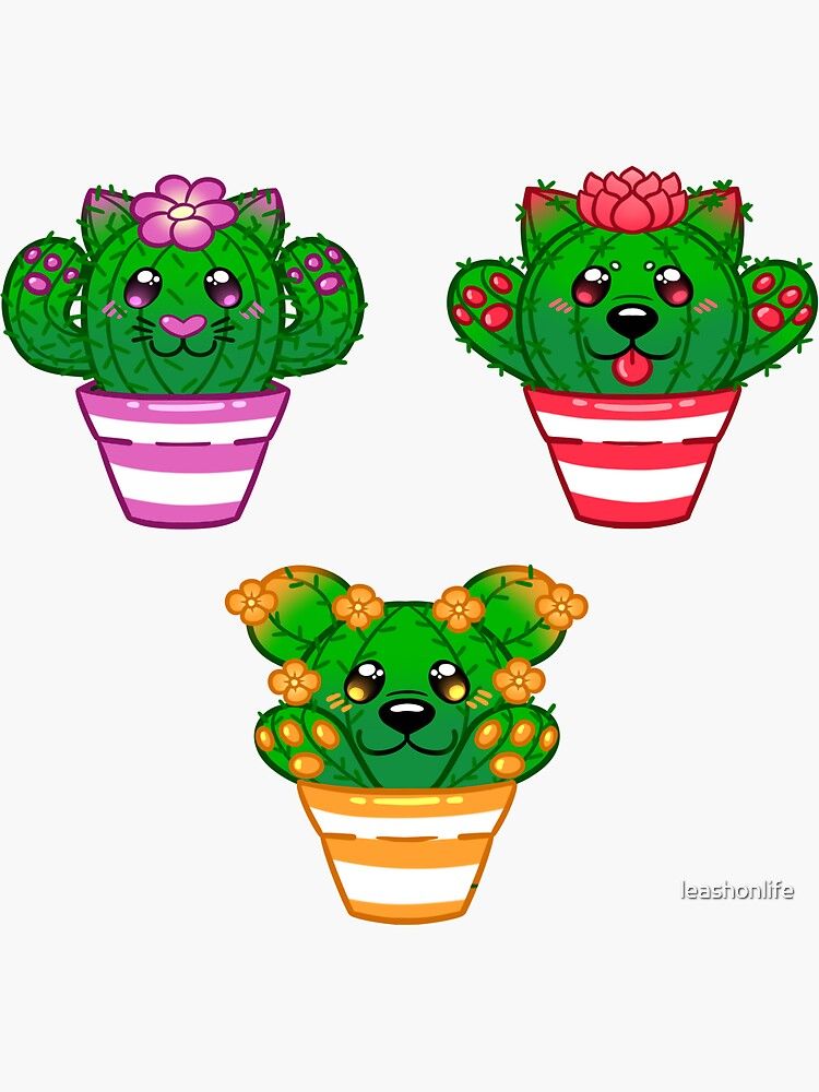 Cactus Cuties ! | Scrolller