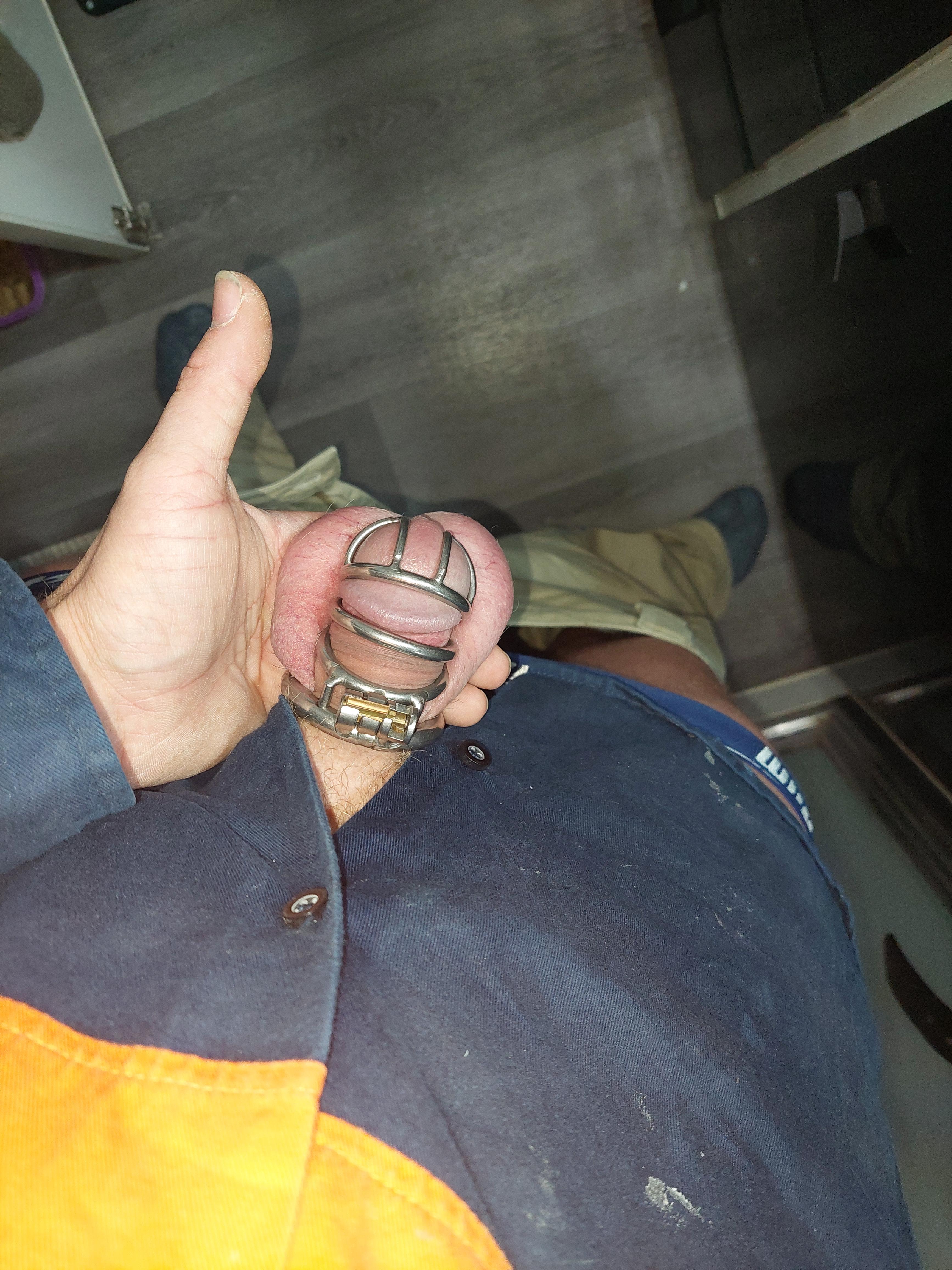 Caged and angry | Scrolller