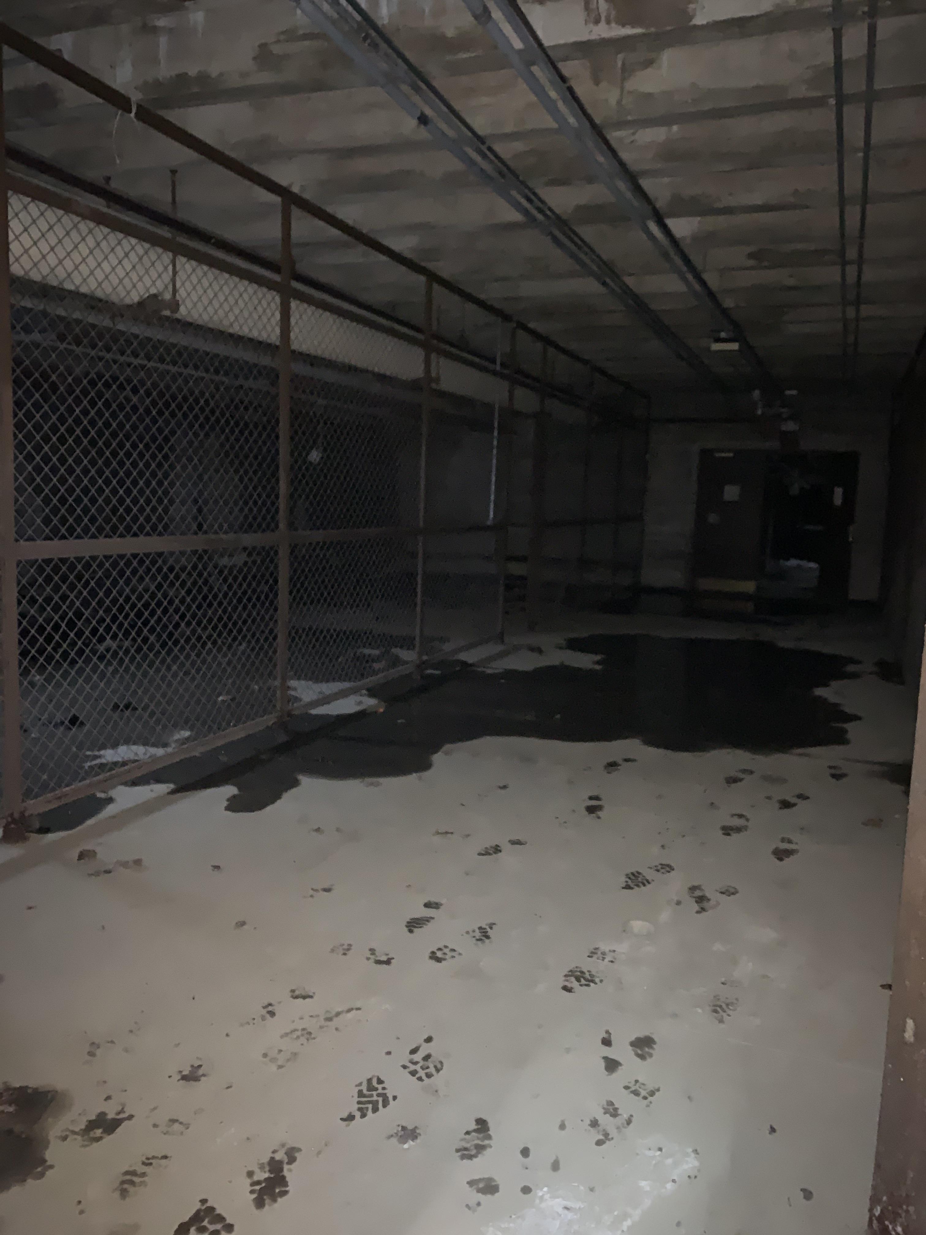 Cages in basement of abandoned asylum | Scrolller