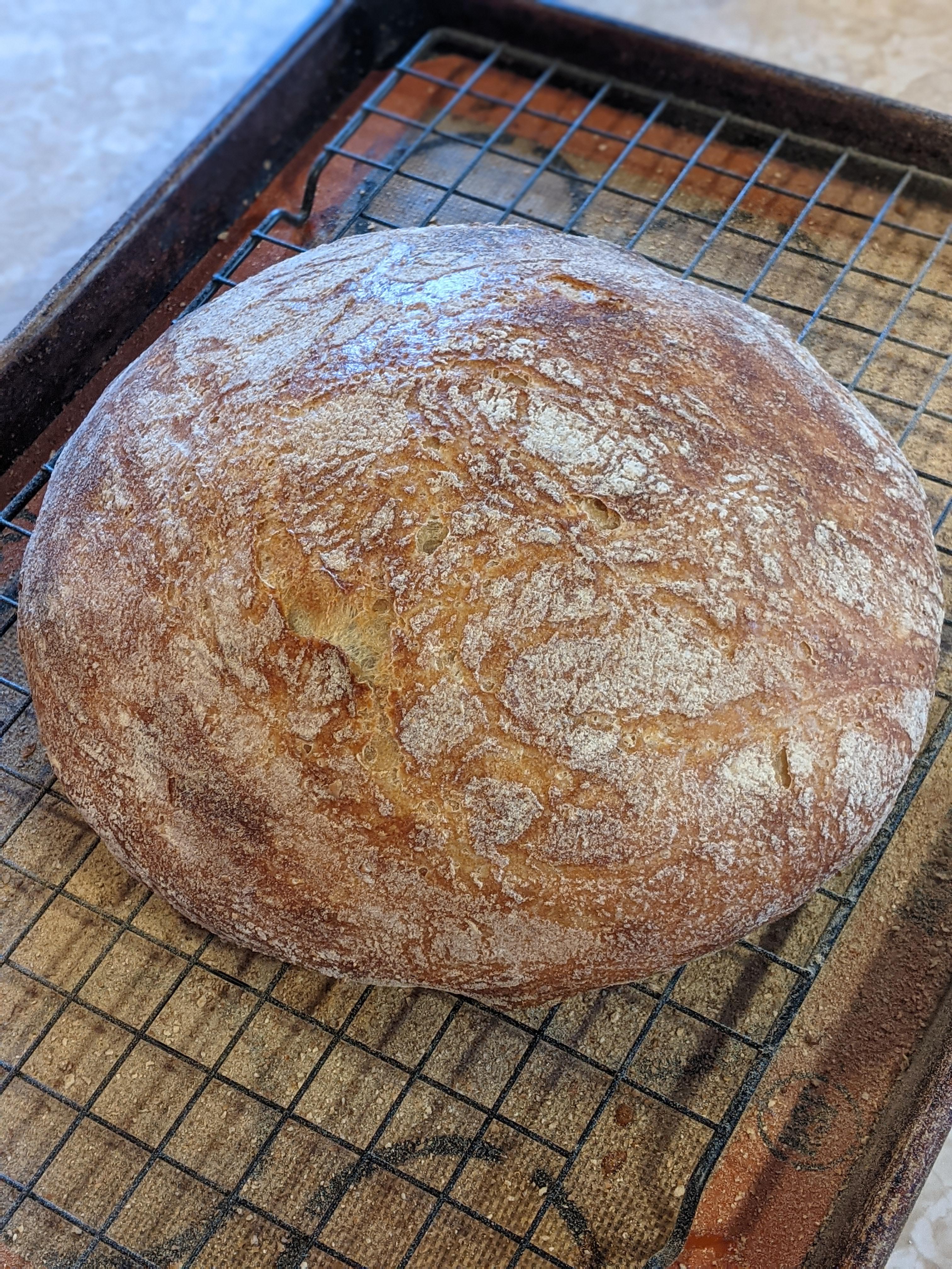 Calabrese Loaf | Scrolller
