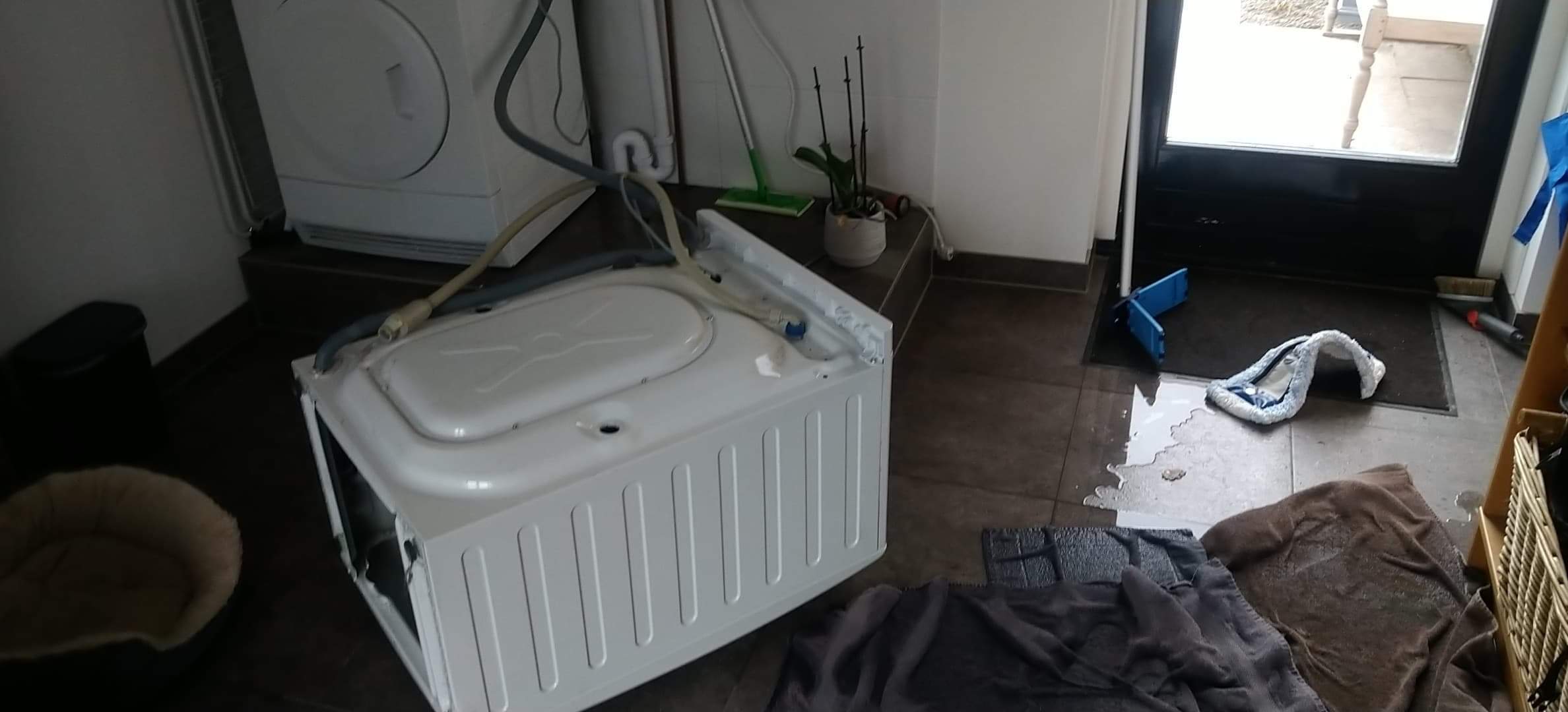 Came downstairs to find the washing machine having decided to go for a walk | Scrolller