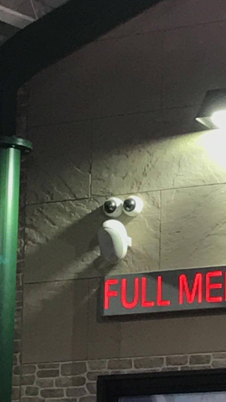 Cameras and speaker at Sonic, looking traumatized | Scrolller