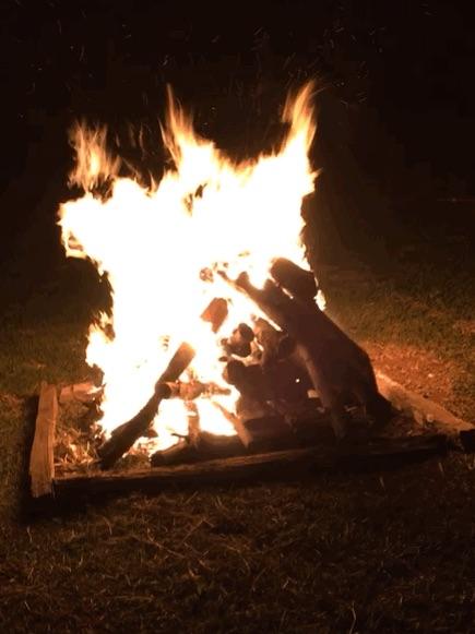 Campfire from a boy scout camping (OC) São Paulo, Brazil | Scrolller