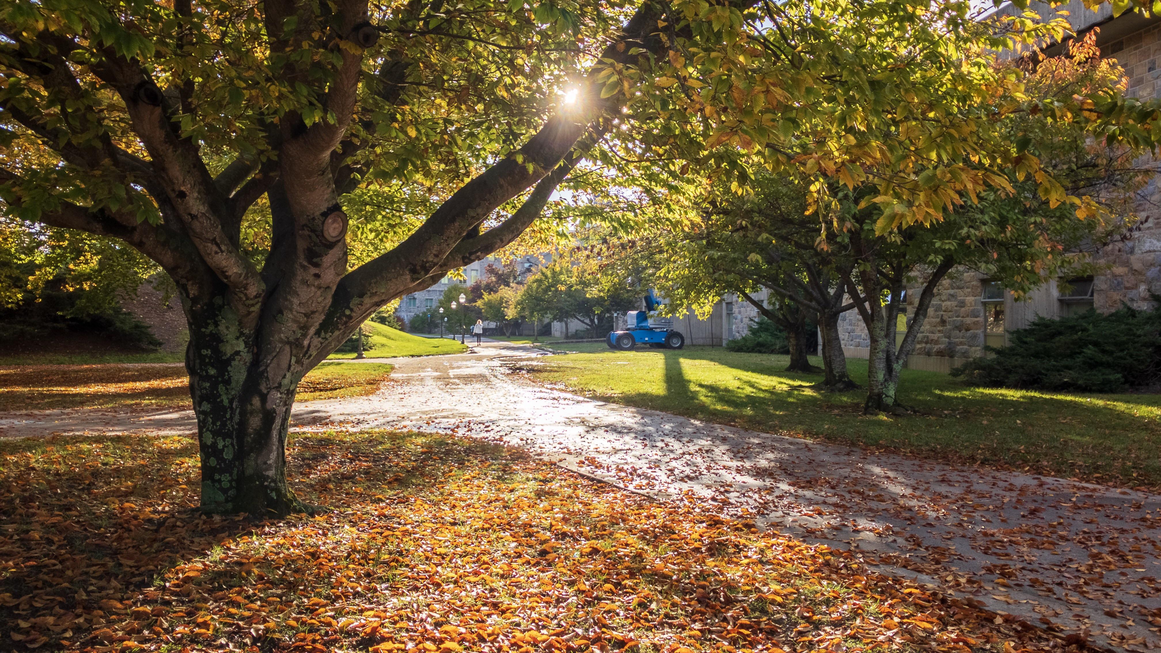 Campus always looks so beautiful after it rains! | Scrolller