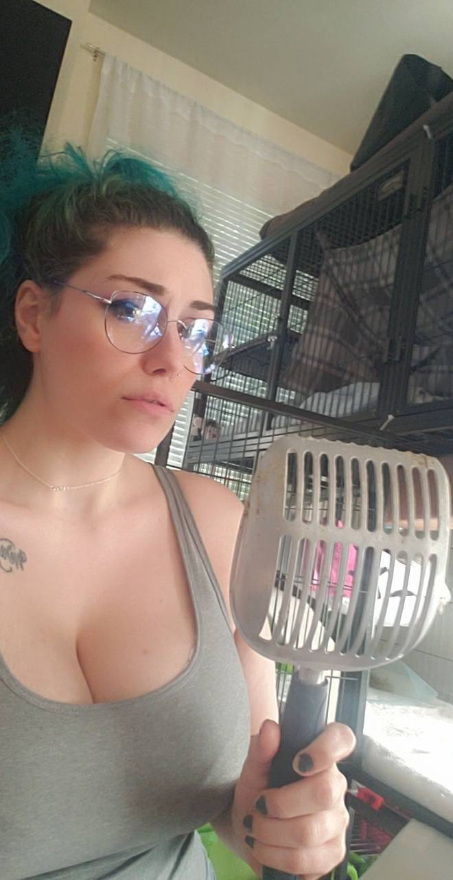 Can a cat poop scoop be hot??? 30F | Scrolller