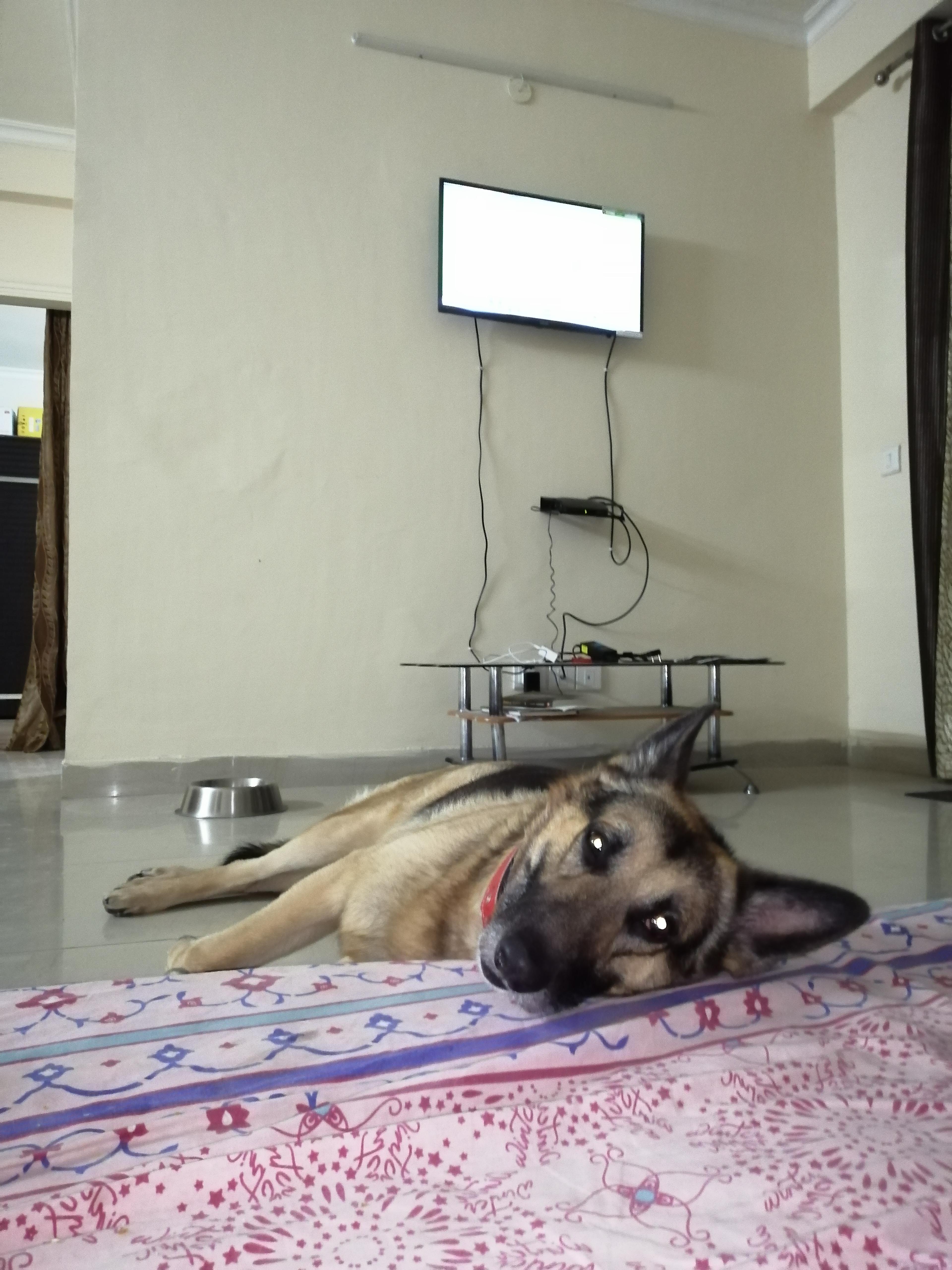 Can any human Love you this much? Such intense love in his eyes, staring deep in to your soul ...