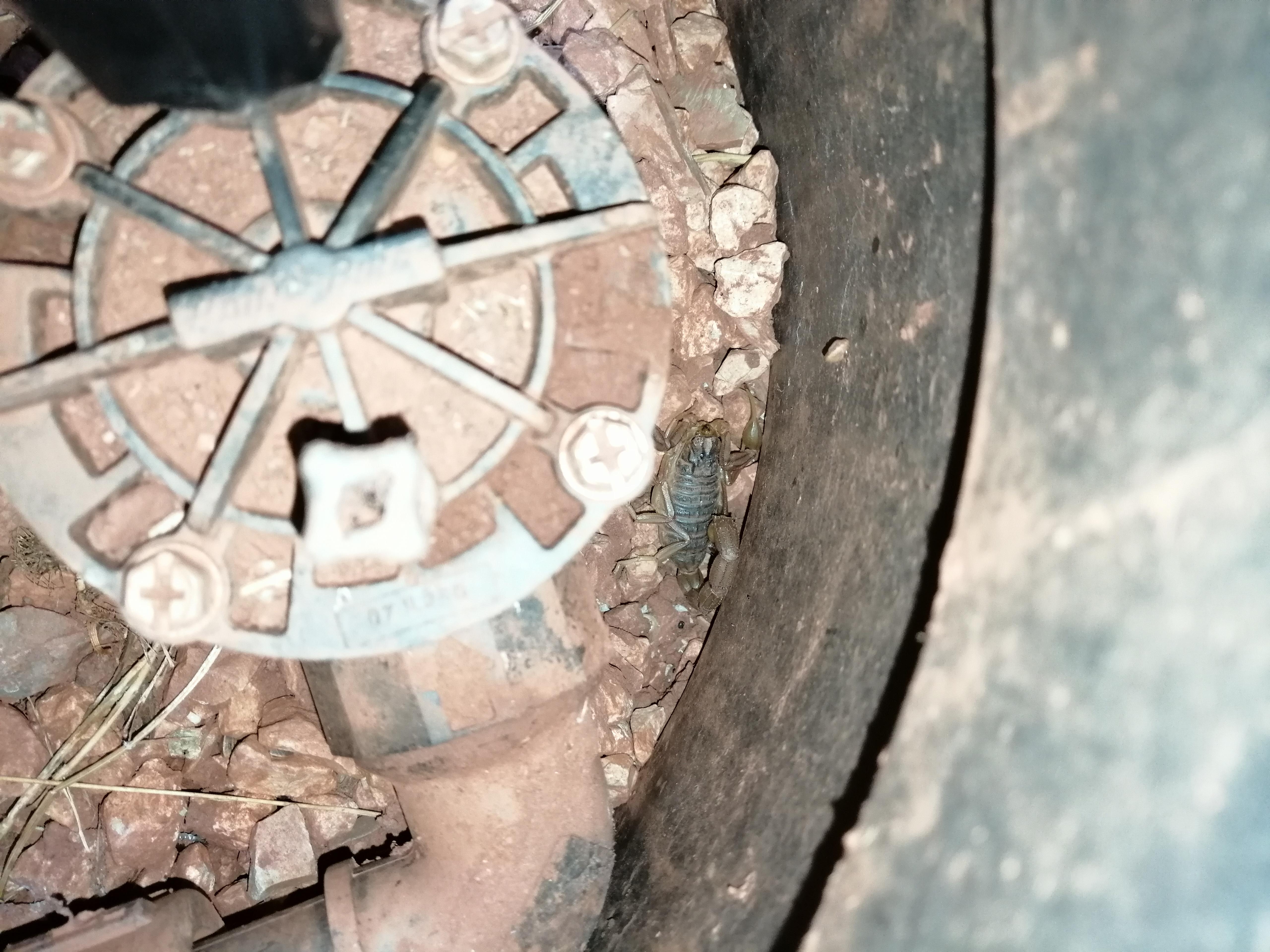 Can anyone help me debug my system? | Scrolller