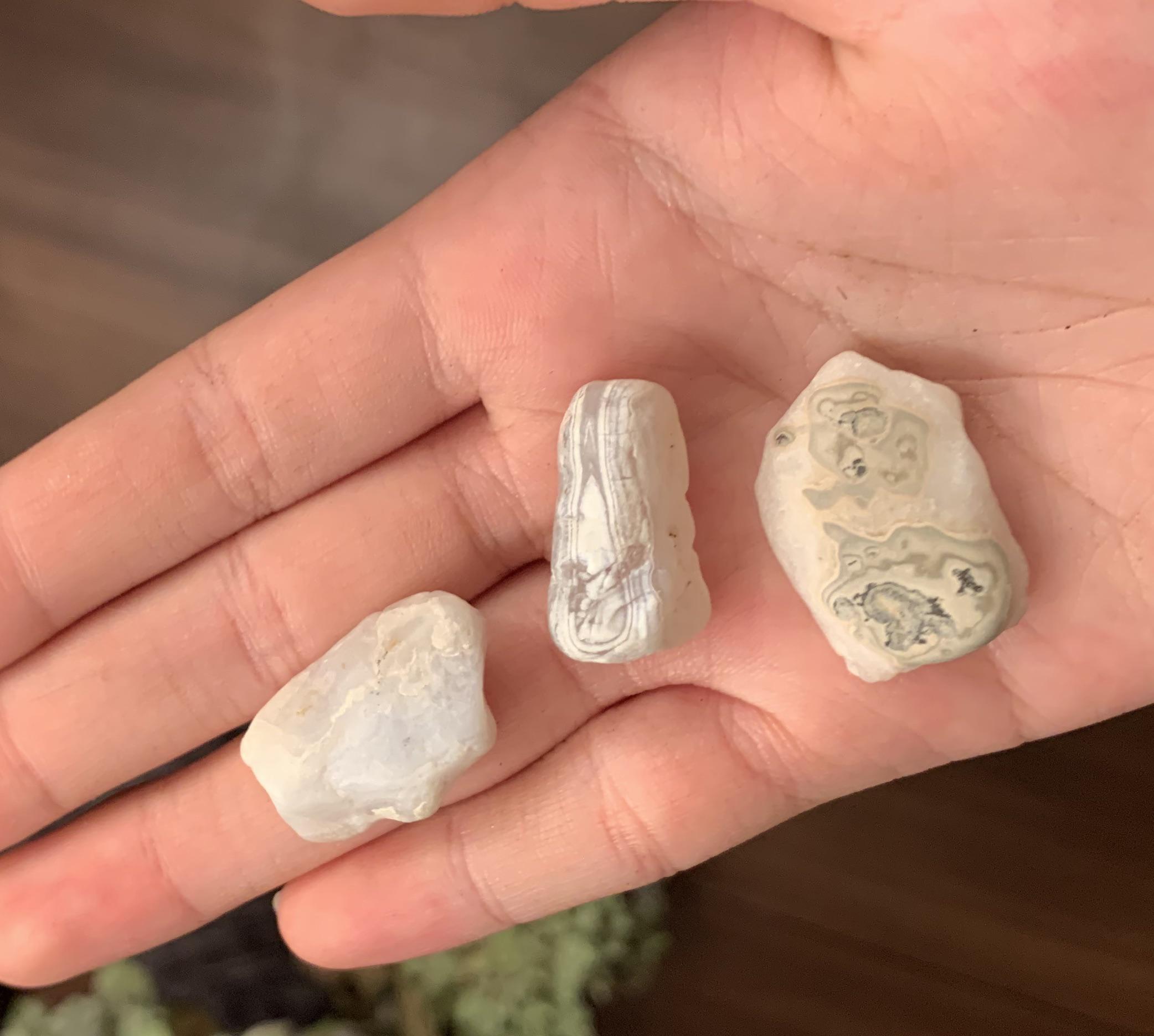 Can anyone identify these? | Scrolller