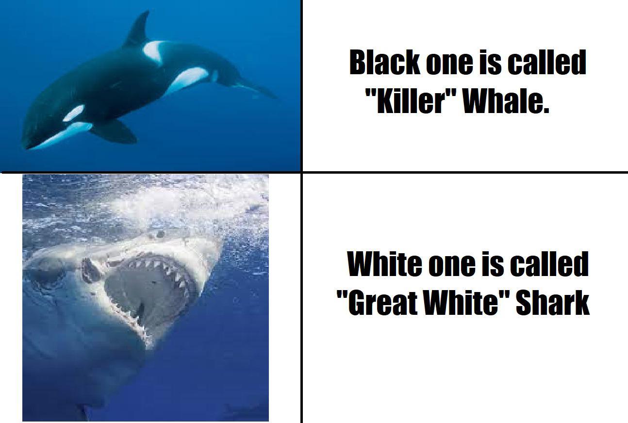 Can someone care to explain ? | Scrolller