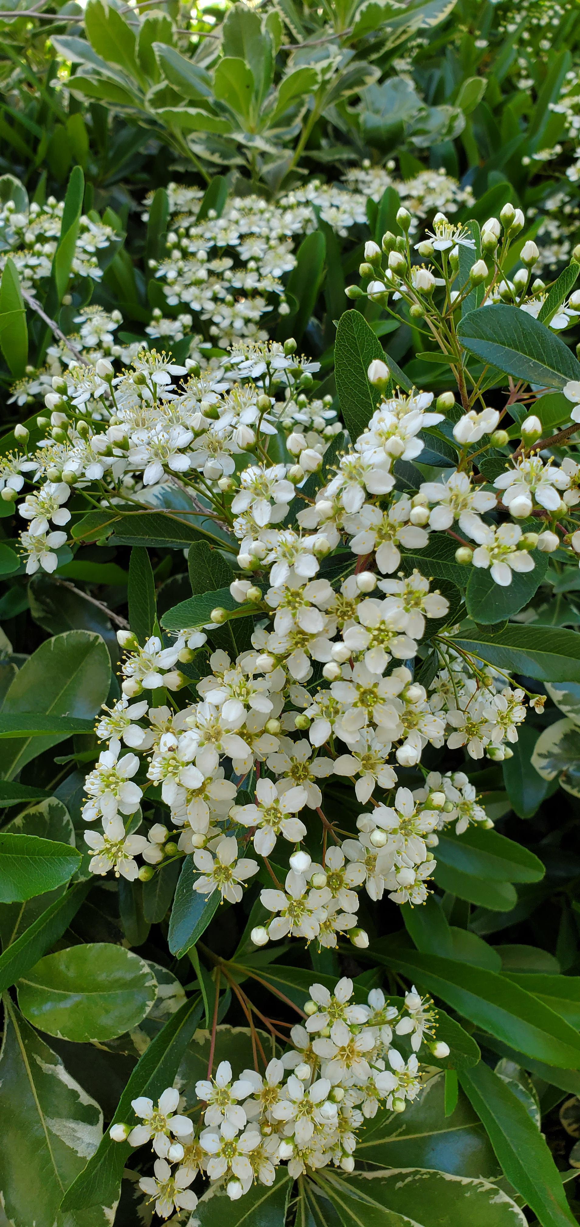 Can someone explain what karma is? | Scrolller