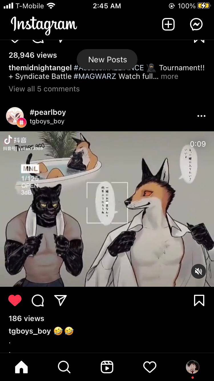 Can someone please help me find this? I know it’s not much to go off of but- please-? | Scrolller