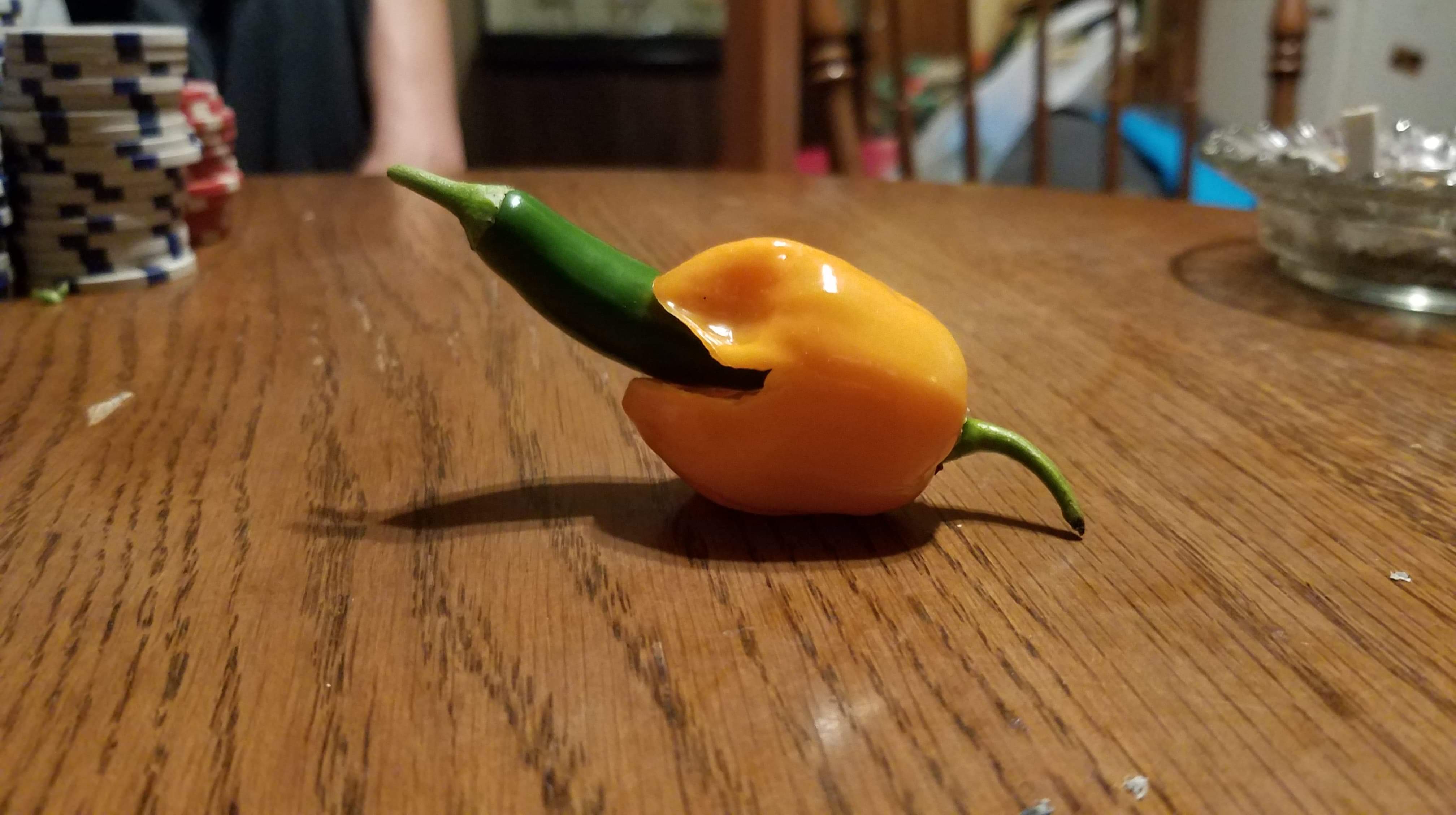 Cannibal -anero | Scrolller