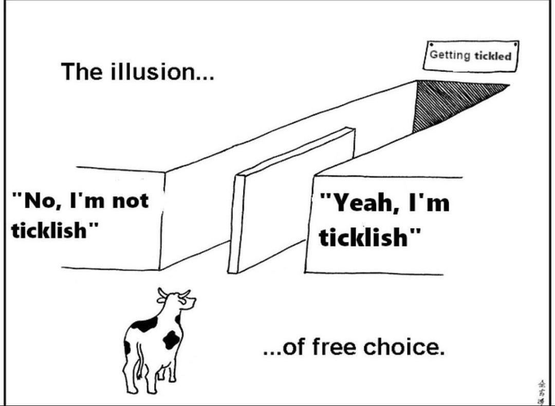 Can't beat the system | Scrolller