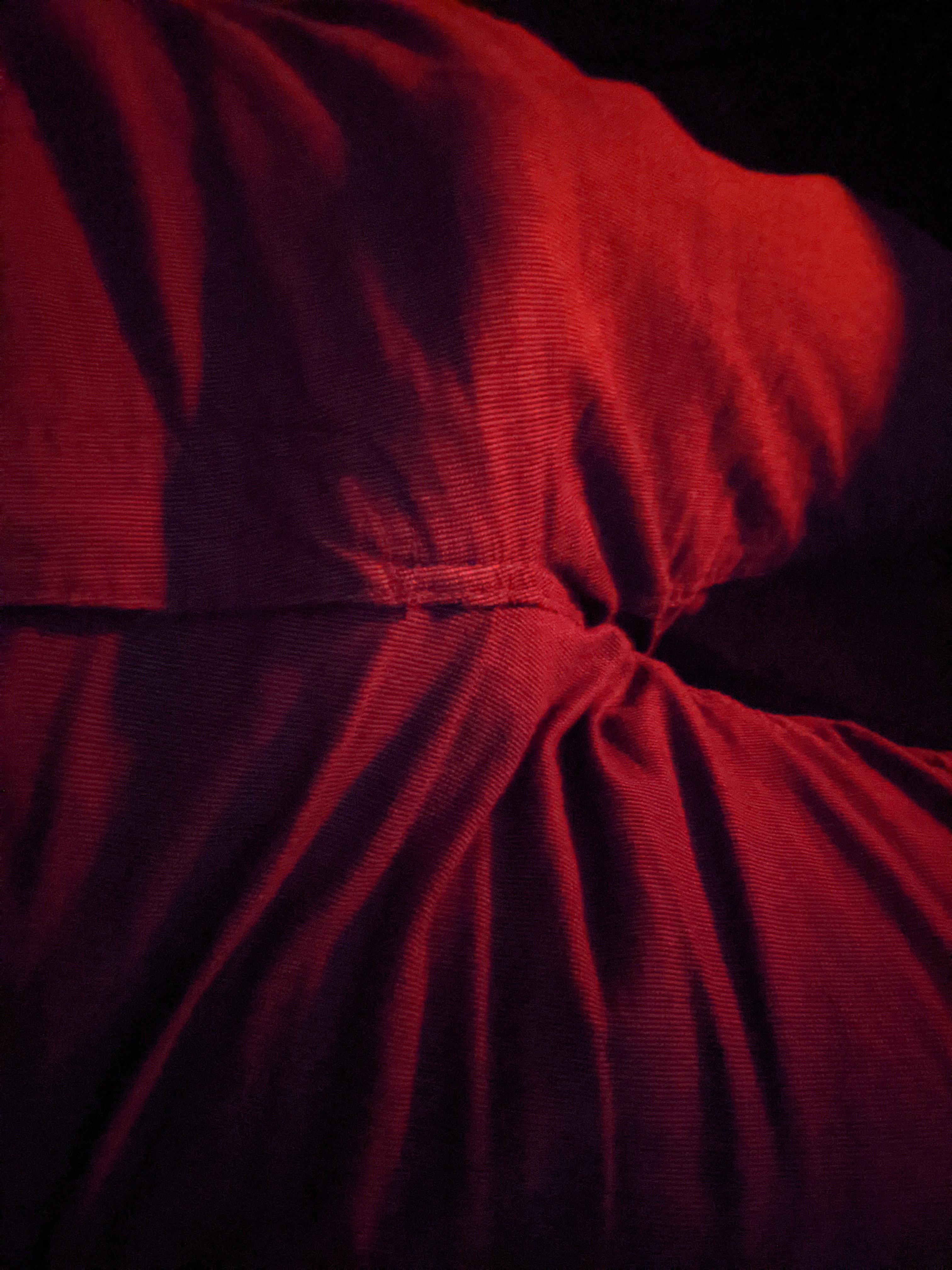 Can't really hide | Scrolller