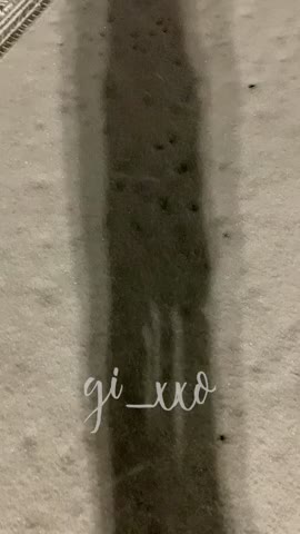 Car girls do it better 😜 | Scrolller