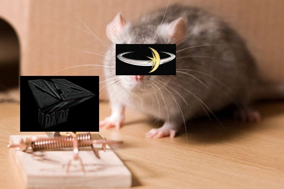 Cargo_IRL | Scrolller