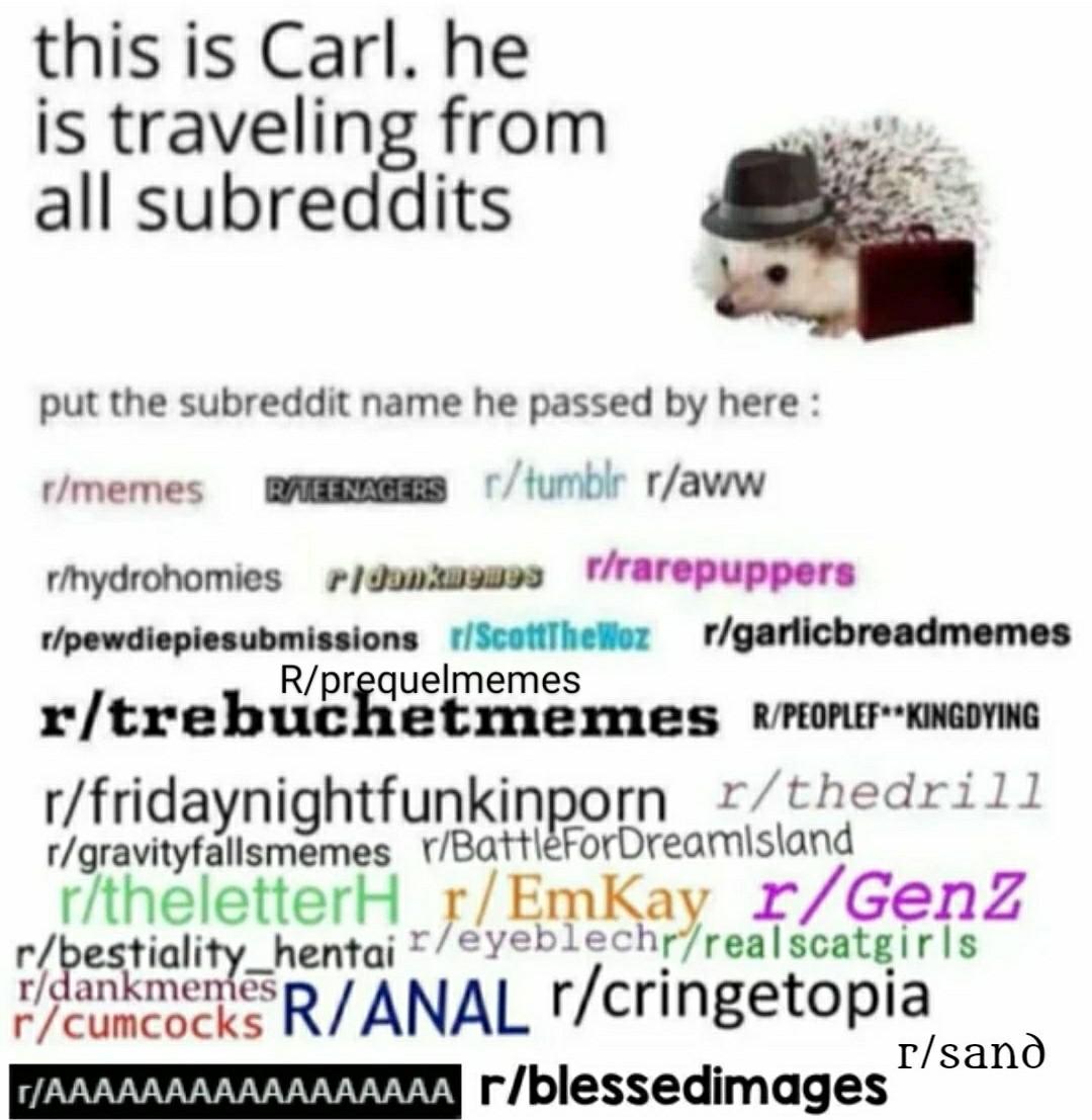 Carl!!! | Scrolller
