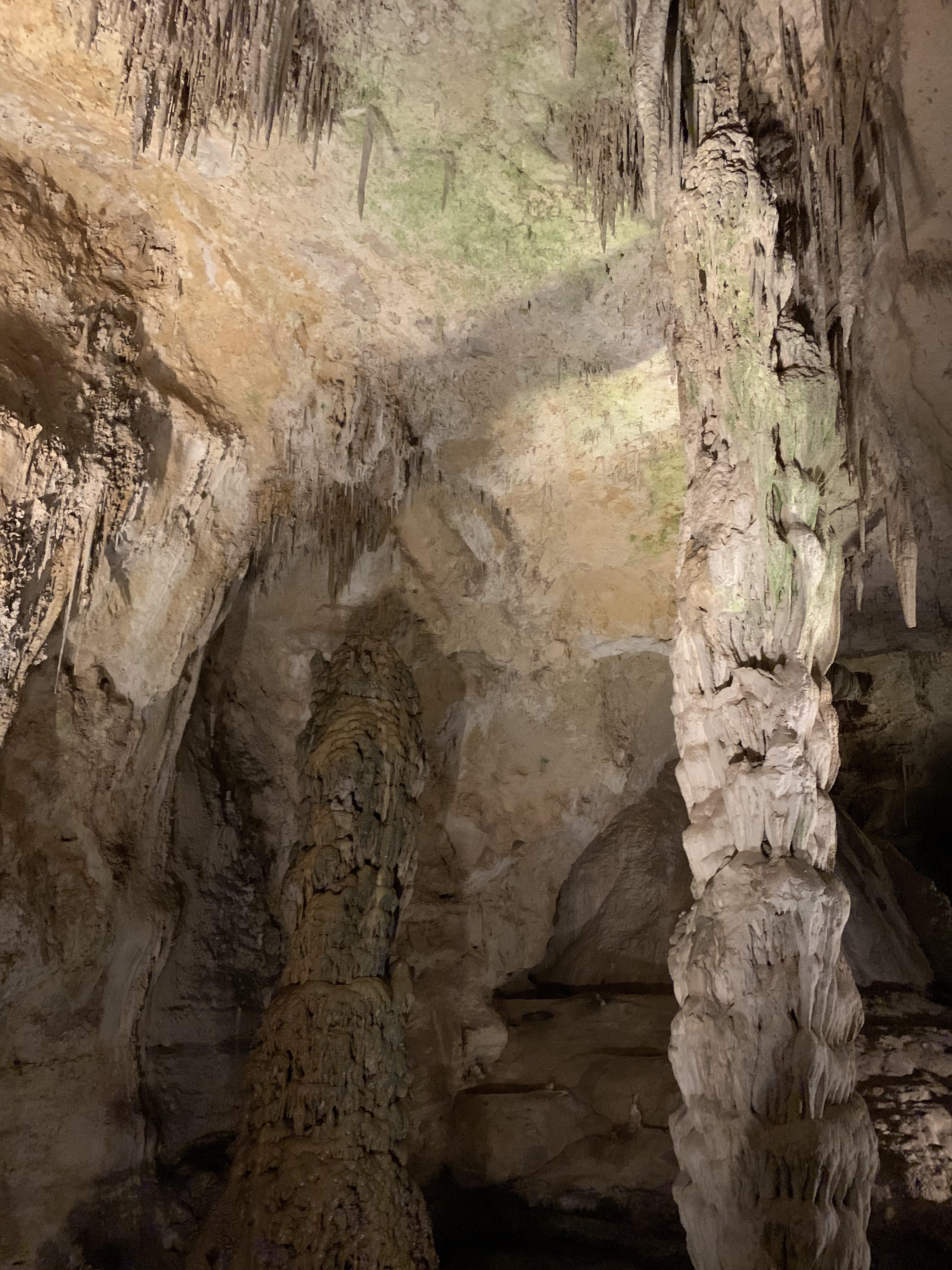 Carlsbad Caverns National Park, New Mexico | Scrolller
