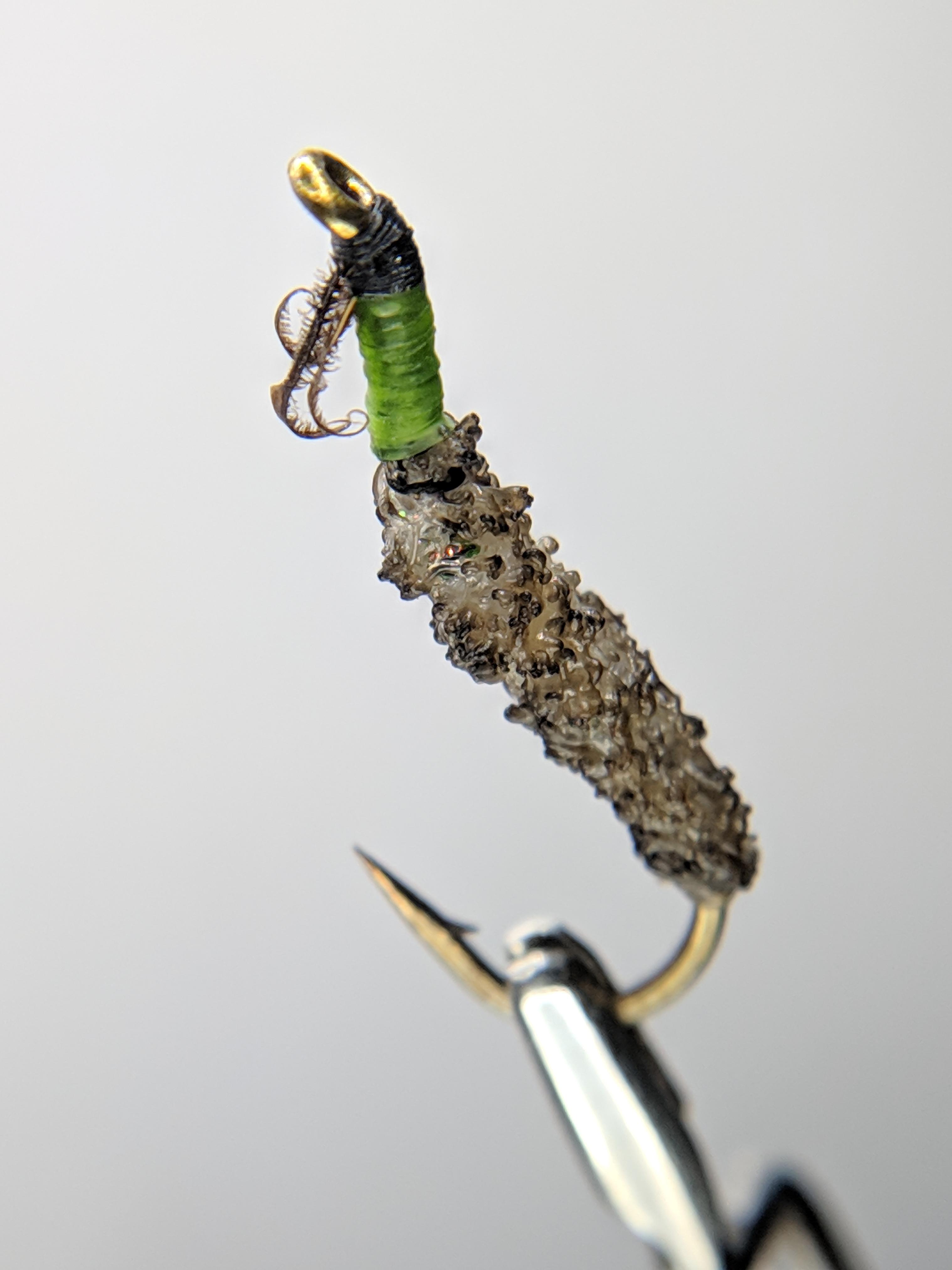 Cased caddis. | Scrolller
