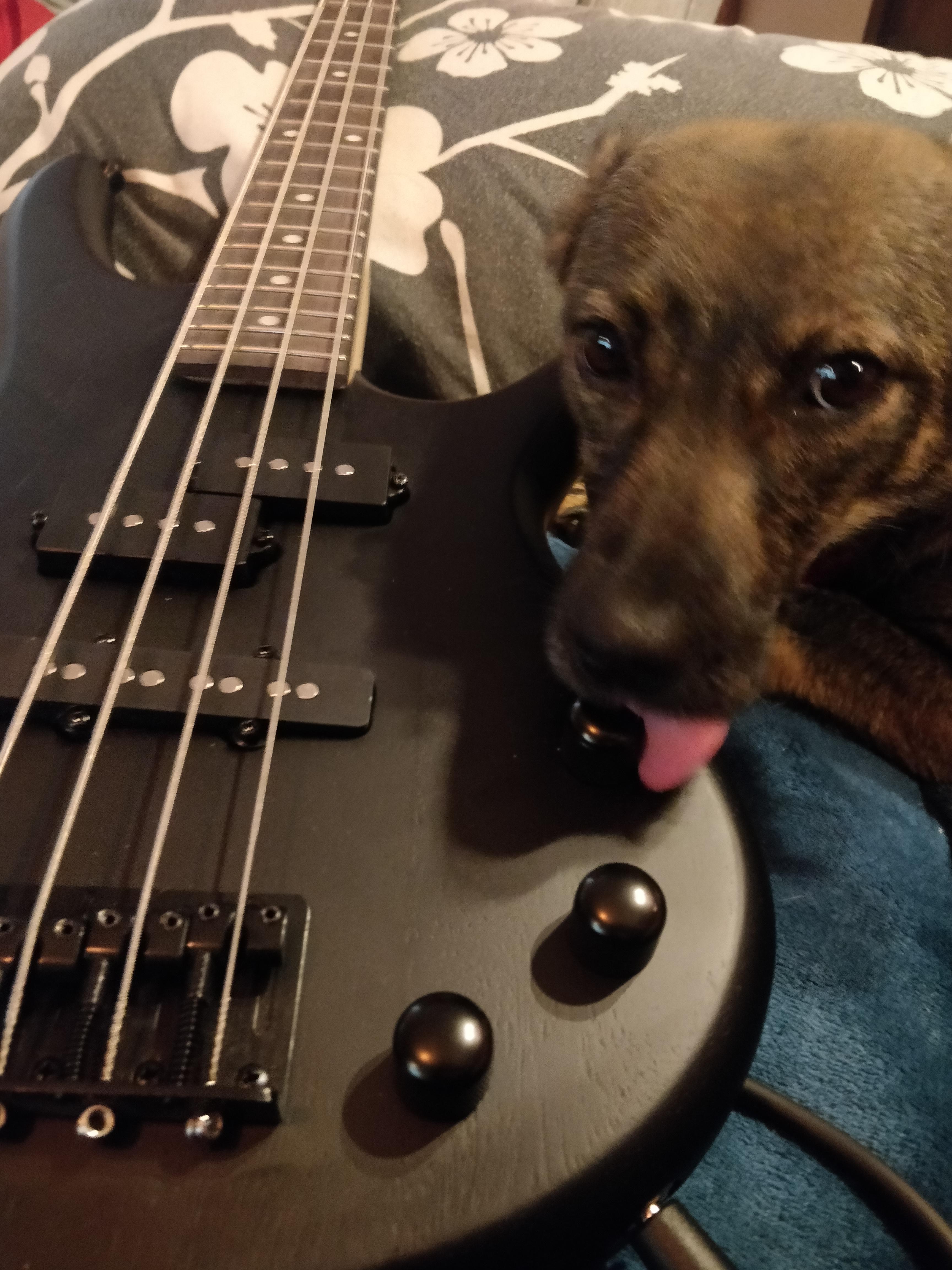 Cassi perfecting her guitar "lick" | Scrolller