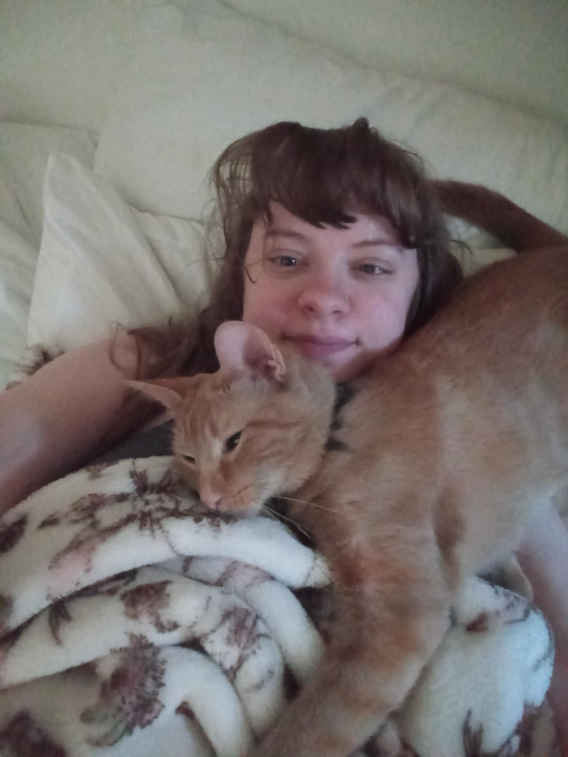 Cat cuddles are the best cuddles | Scrolller