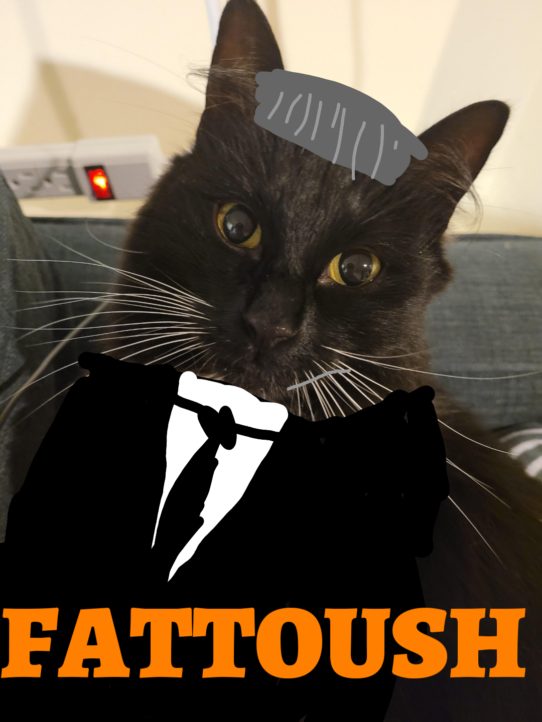 Cat Doodle Rule | Scrolller