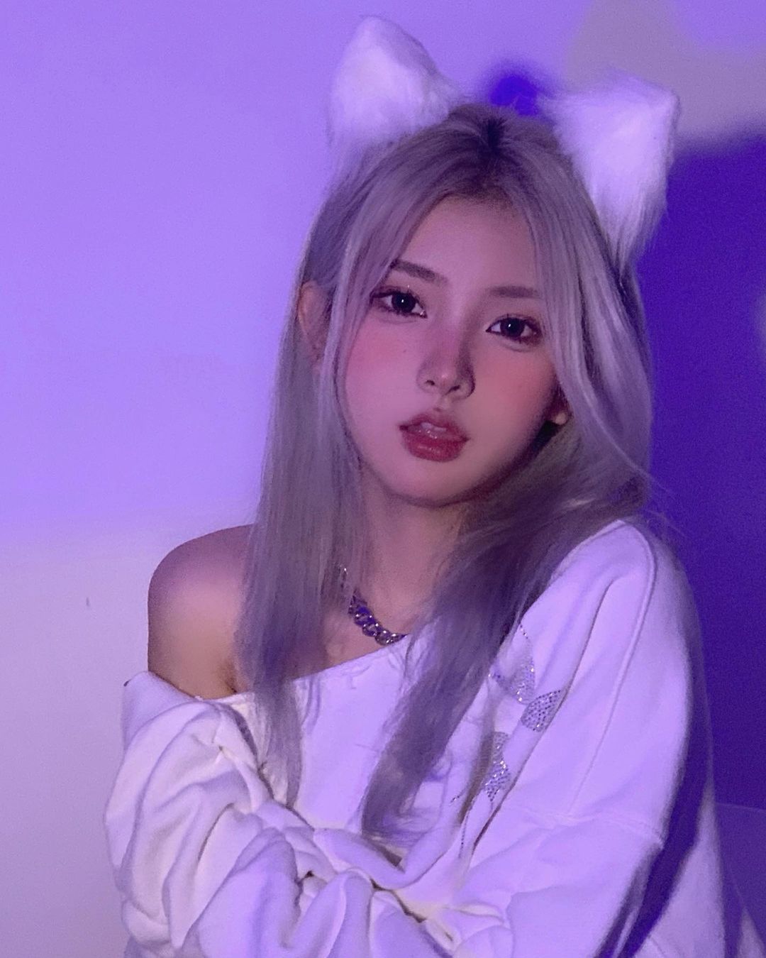 Cat ears | Scrolller