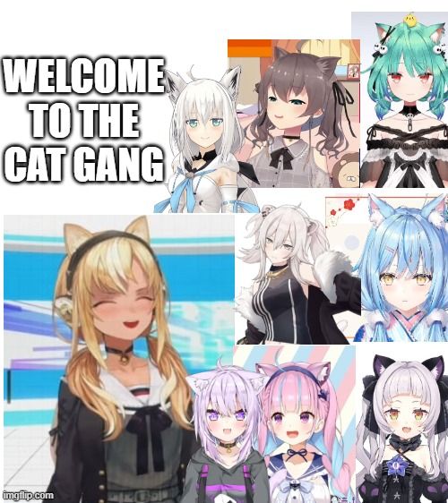 cat ears Flare is cute | Scrolller