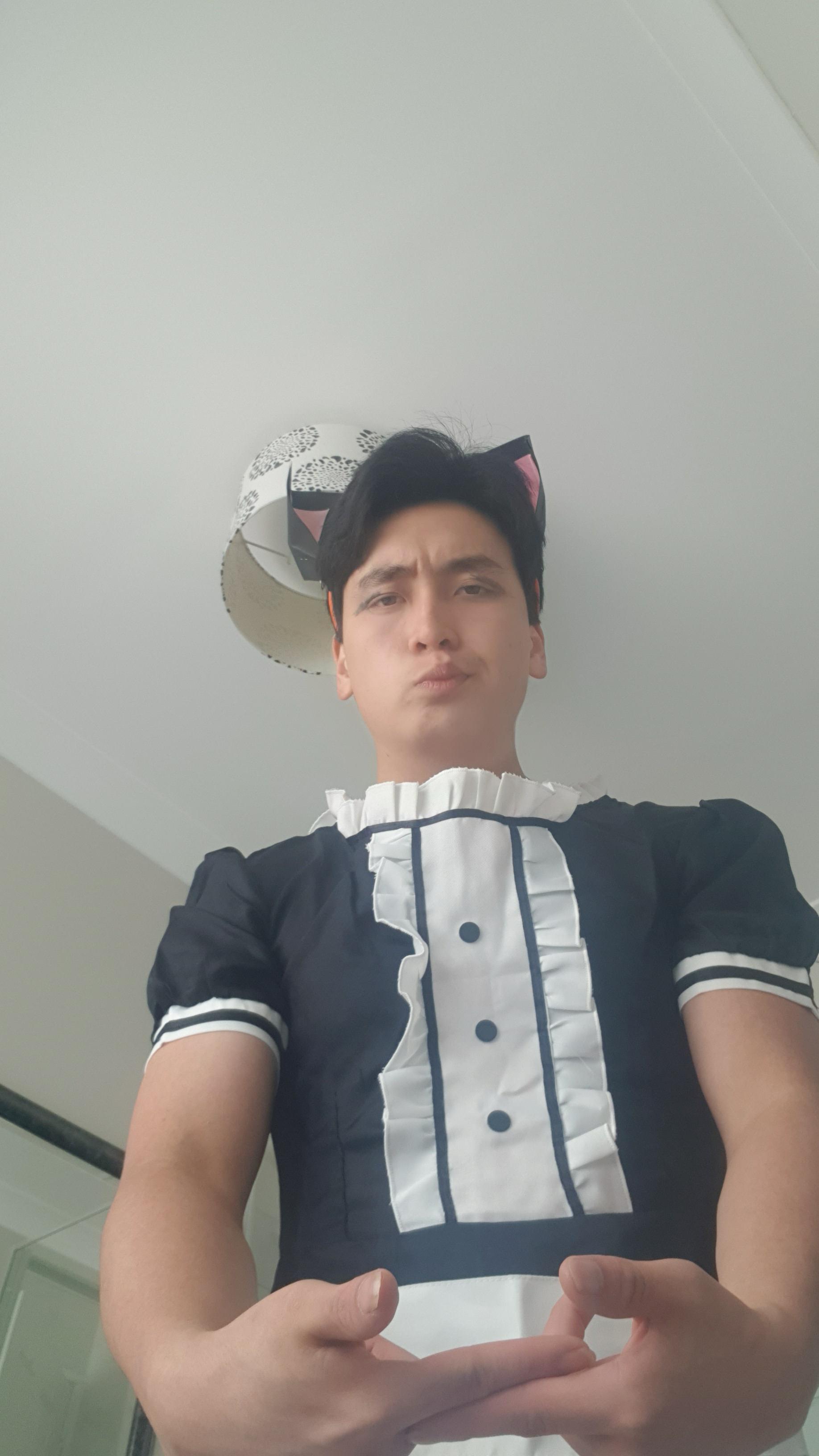 Cat Ears + Maid Outfit? | Scrolller