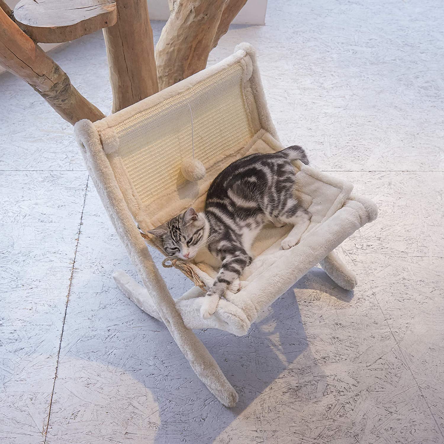 Cat in the chair | Scrolller