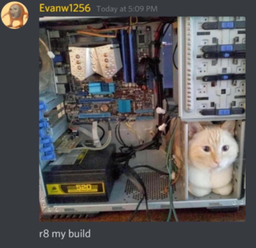 Cat powered | Scrolller