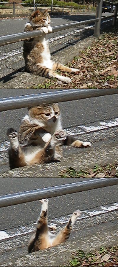 Catastrophe | Scrolller