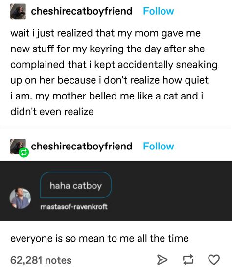 Catboy Scrolller 5709