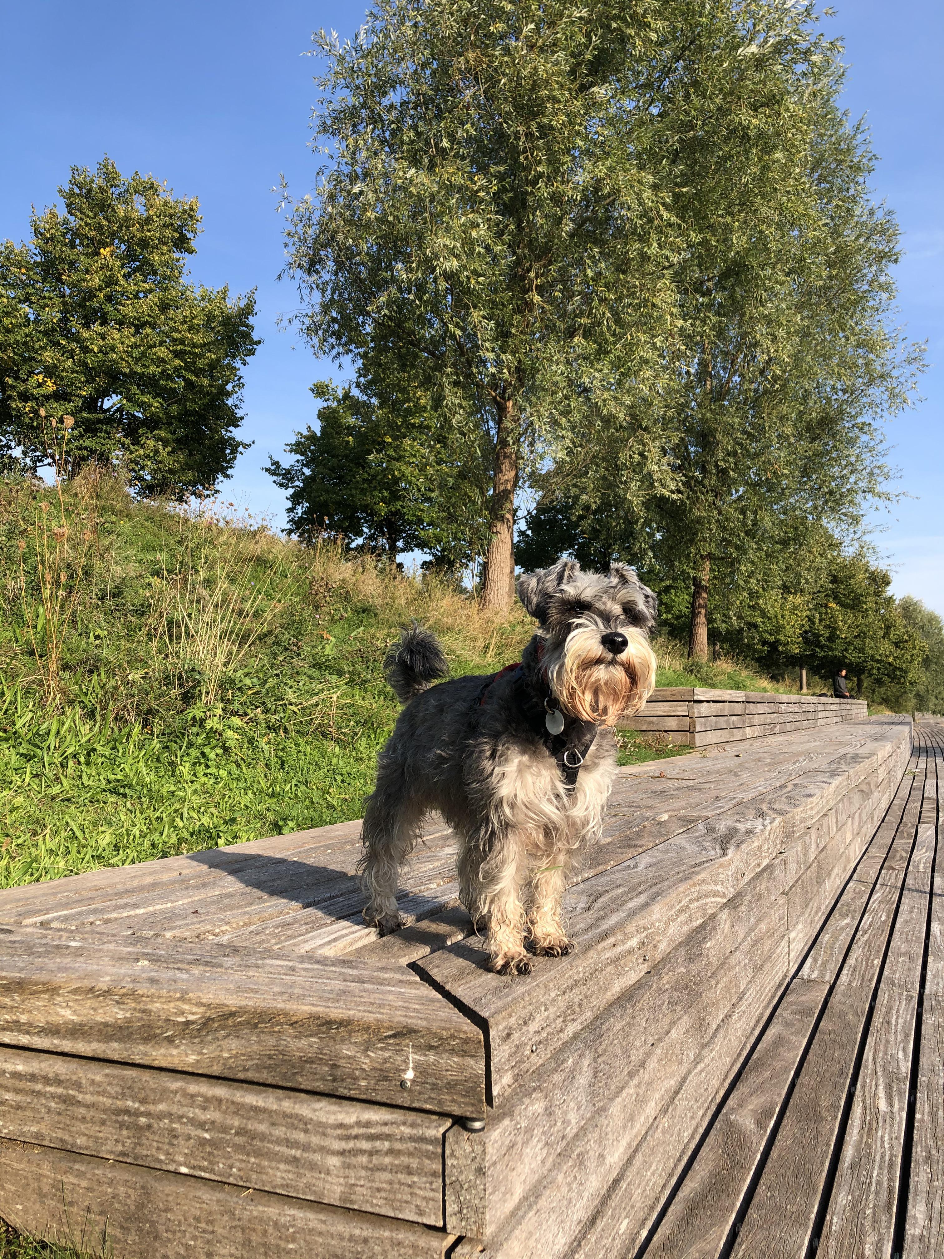Catching some late summer sun | Scrolller