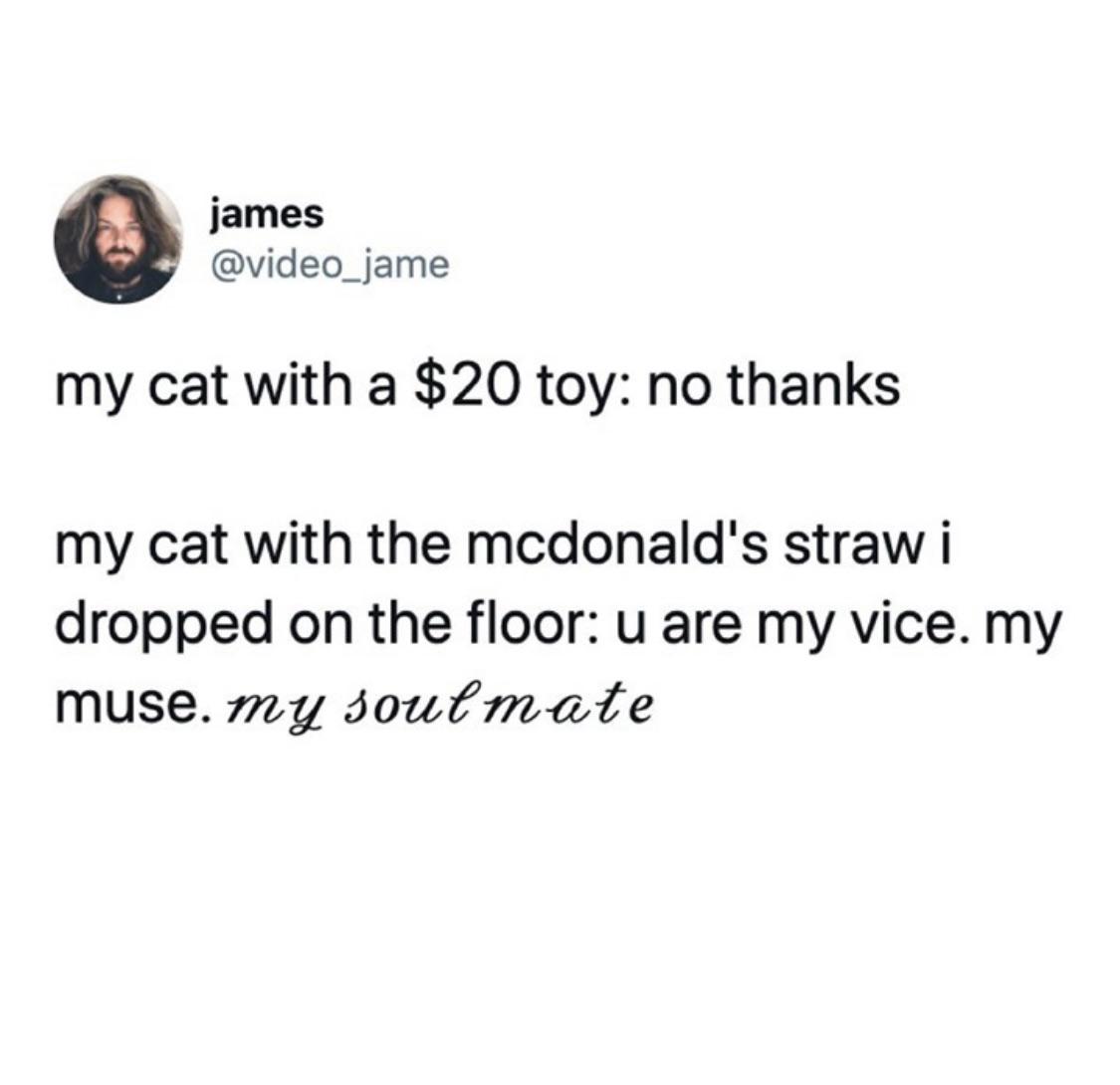 Cats Are So Cats Scrolller