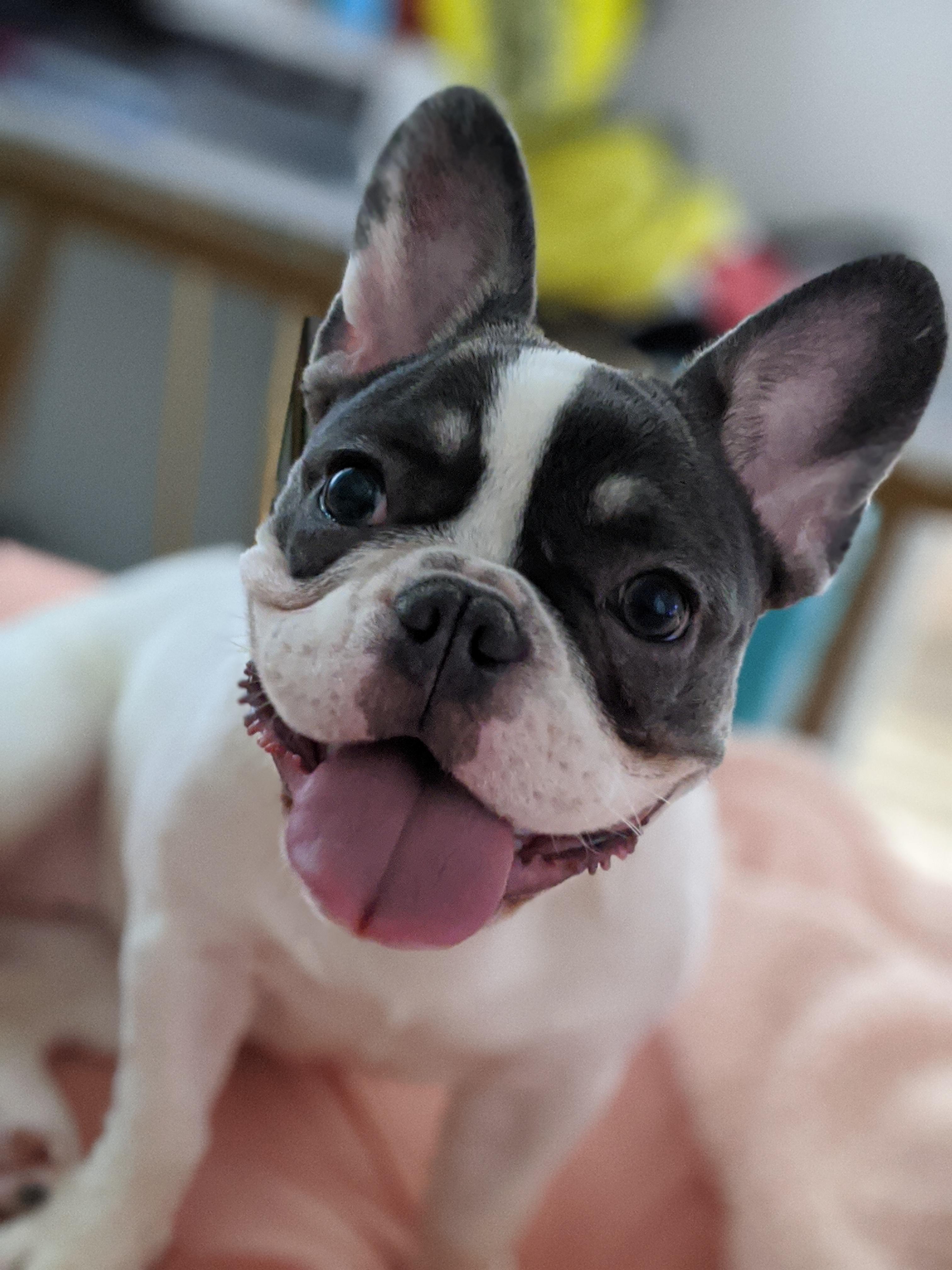 Caught her smiling this morning | Scrolller