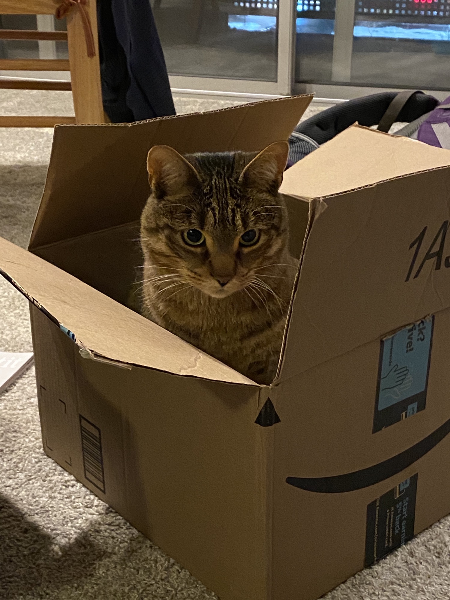 Caught him! | Scrolller